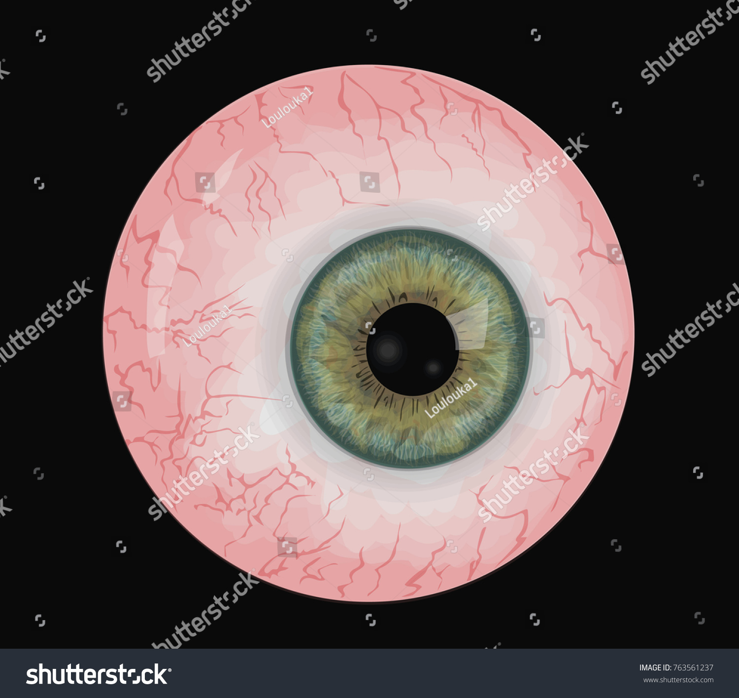 Realistic Human Eyeball Vector Stock Vector (Royalty Free) 763561237 ...