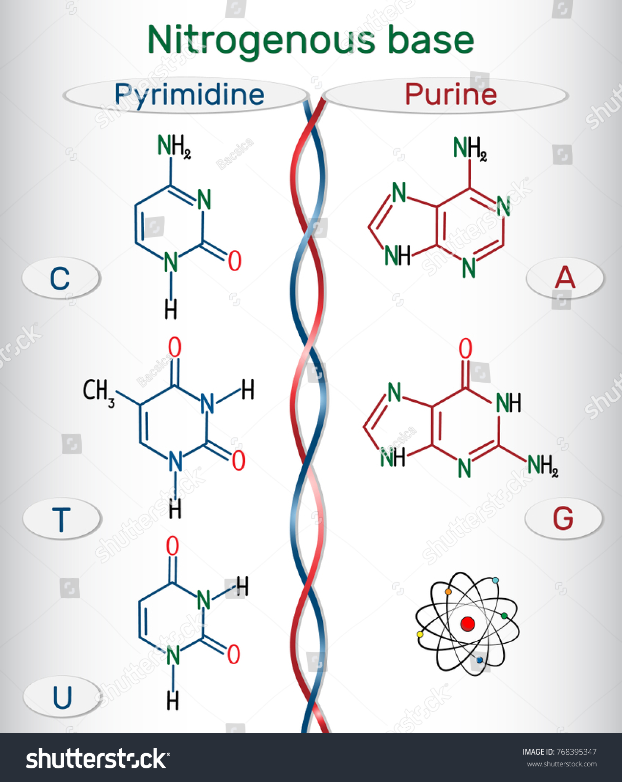 Chemical Structural Formulas Purine Pyrimidine Nitrogenous Stock Vector ... Chemical Structural Formulas Purine Pyrimidine Nitrogenous Stock Vector ...