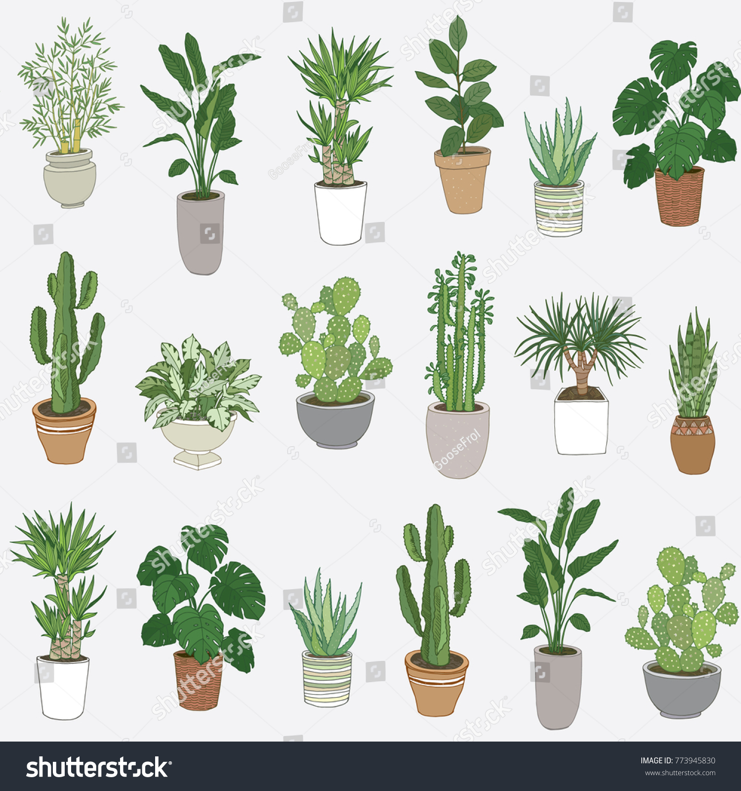 5579082 Plant Stock Vectors Images And Vector Art Shutterstock
