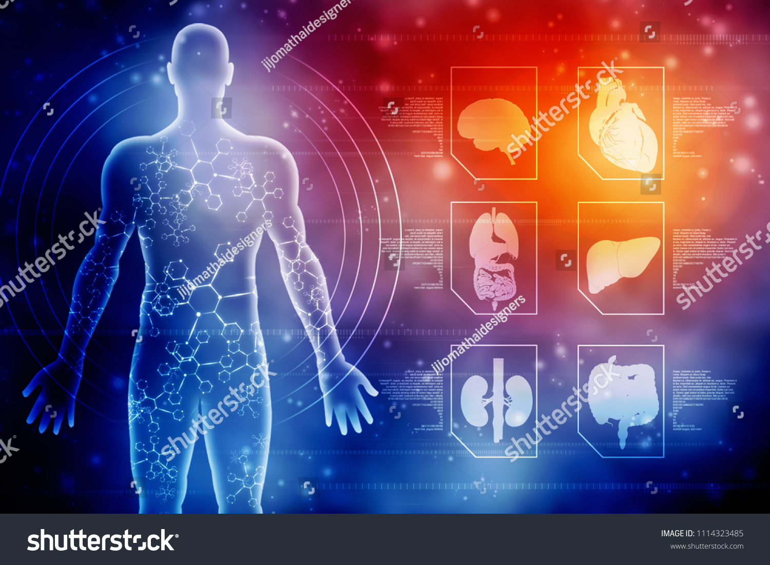 2d illustration Human Male Muscle Body - Royalty Free Stock Photo ...