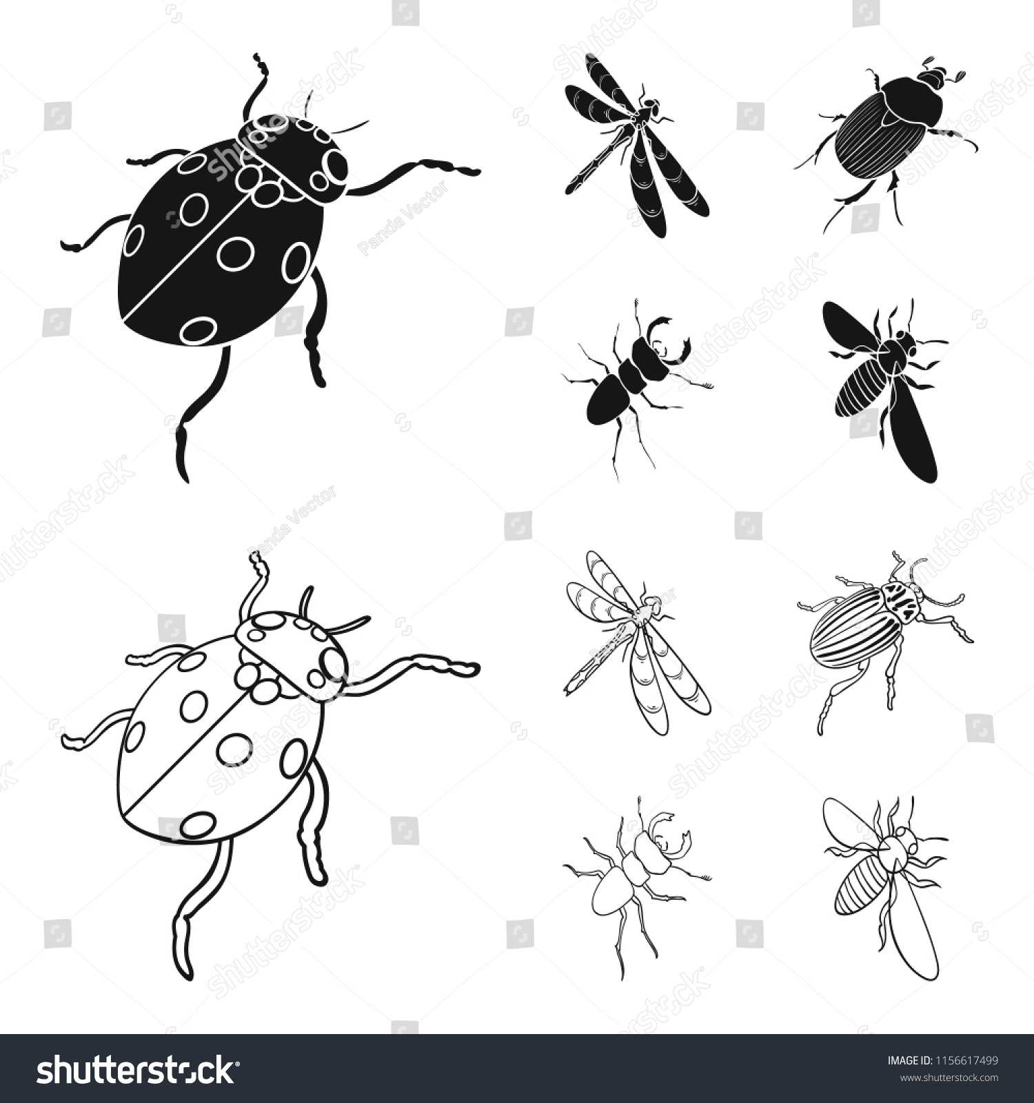 Arthropods Insect Ladybird Dragonfly Beetle Royalty Free Stock Vector 1156617499