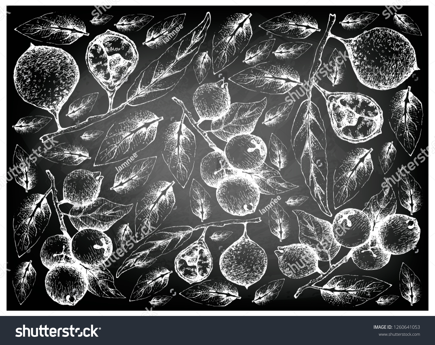 Tropical Fruits, Illustration Wallpaper - Royalty Free Stock Vector ...