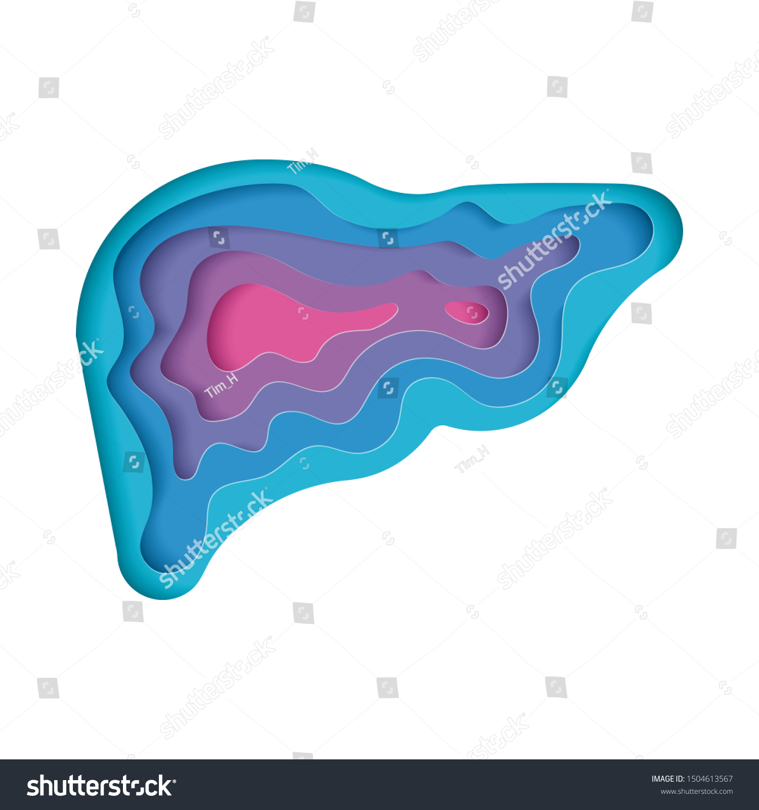 Vector illustration of the Liver done in 3D - Royalty Free Stock Vector ...