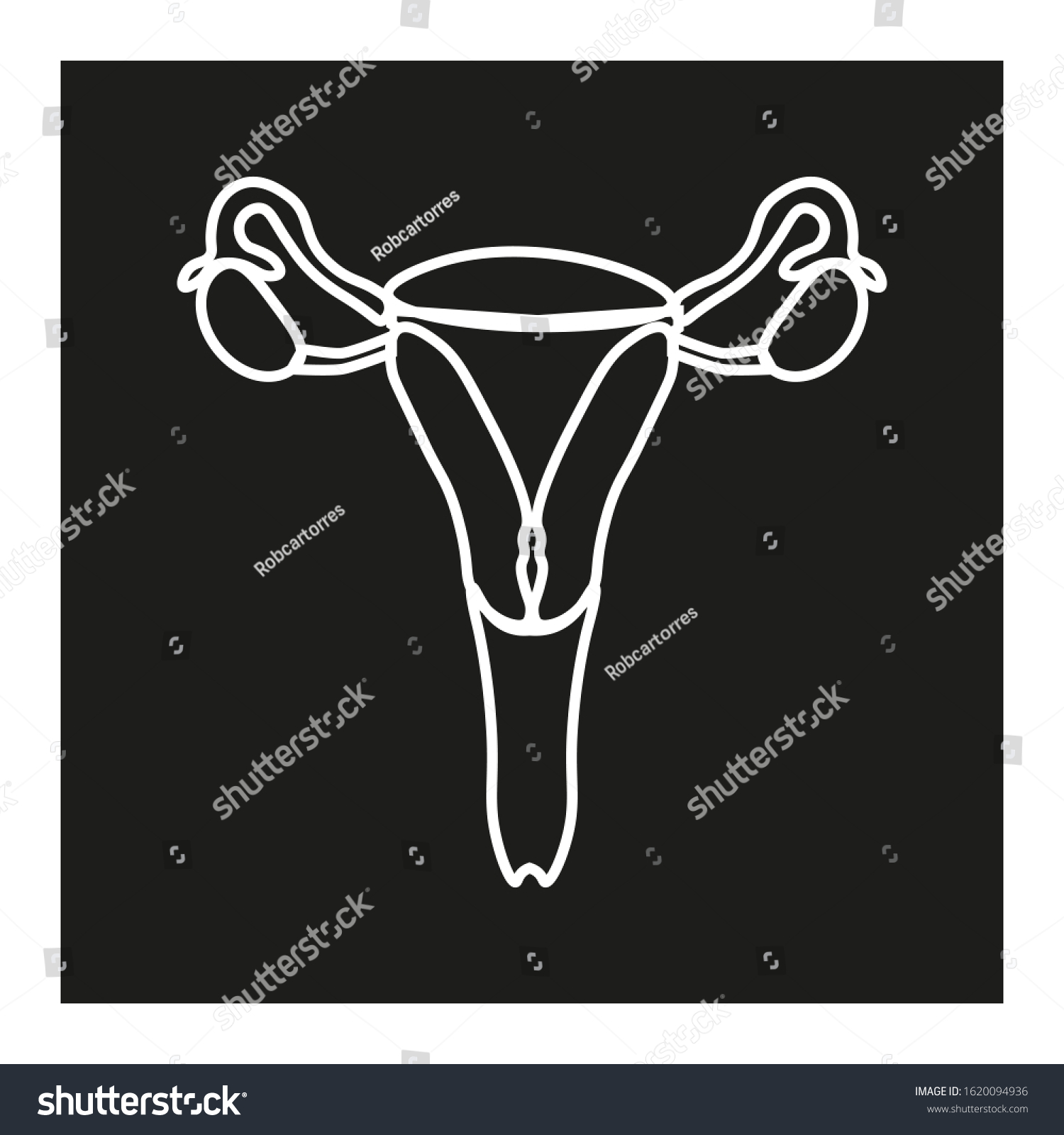 Female Reproductive System Icon Vector Royalty Free Stock Vector