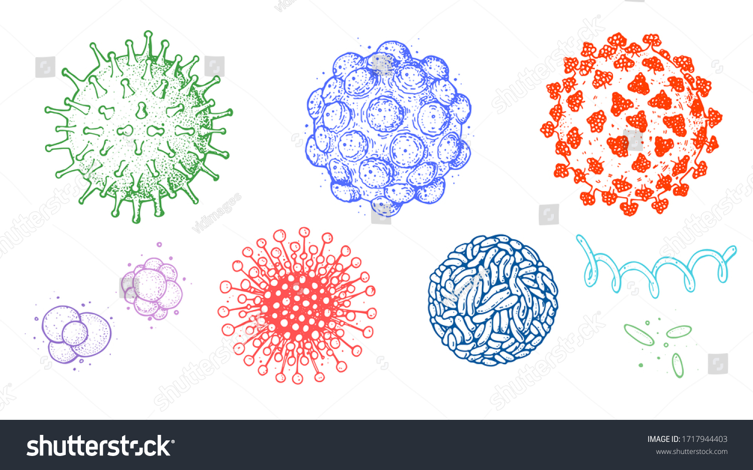 Different Kinds Of Virus Sketch Collection Royalty Free Stock
