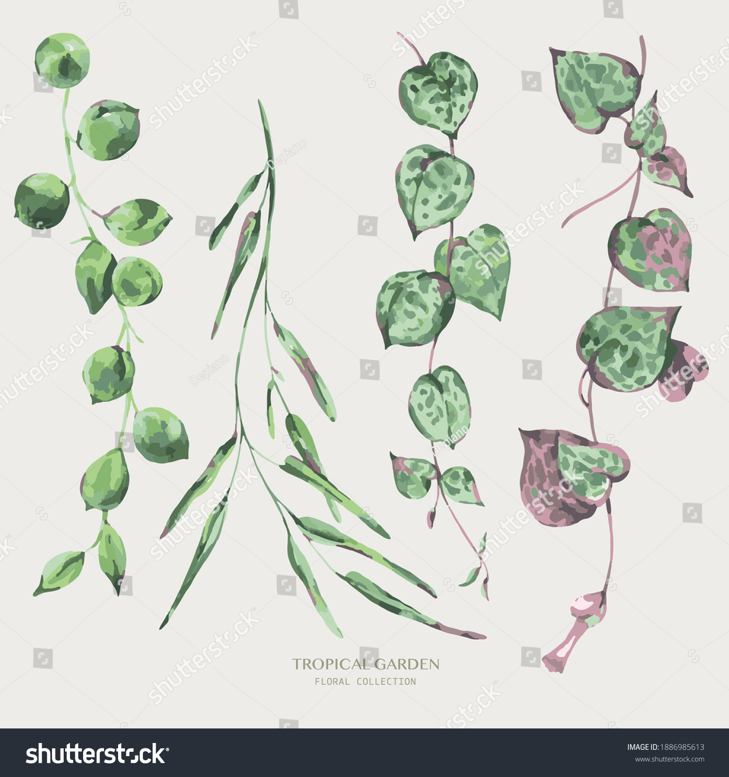 Vector Watercolor Tropical Green Leaves Royalty Free Stock Vector
