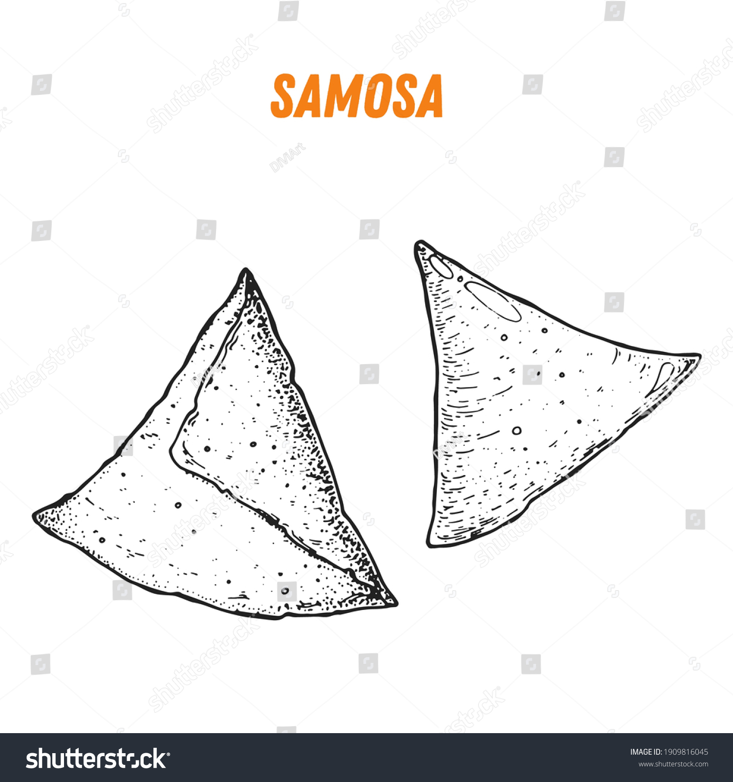 Samosa sketch, Indian food. Hand drawn vector - Royalty Free Stock ...