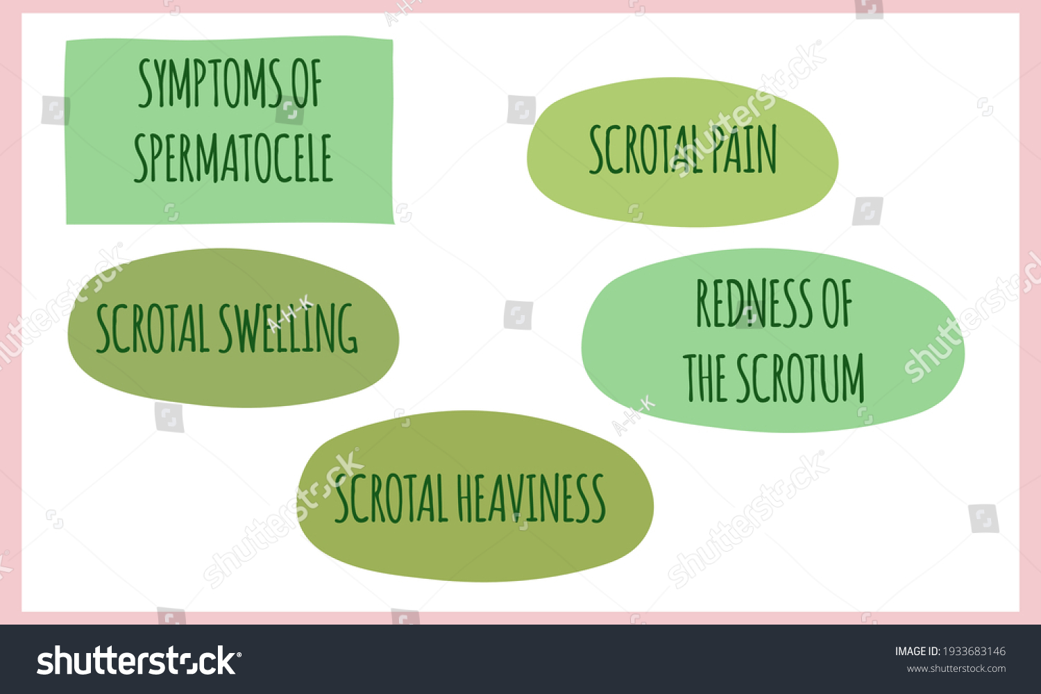 Spermatoceles Symptoms And Treatment – ZOBZQD