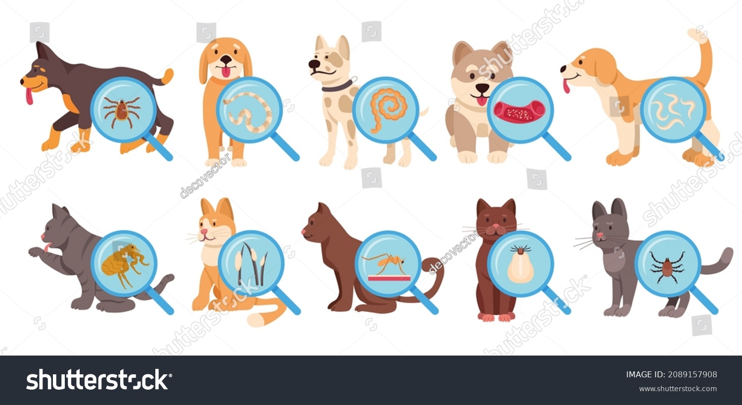 Dog and cat parasites set. Cartoon vector - Royalty Free Stock Vector ...