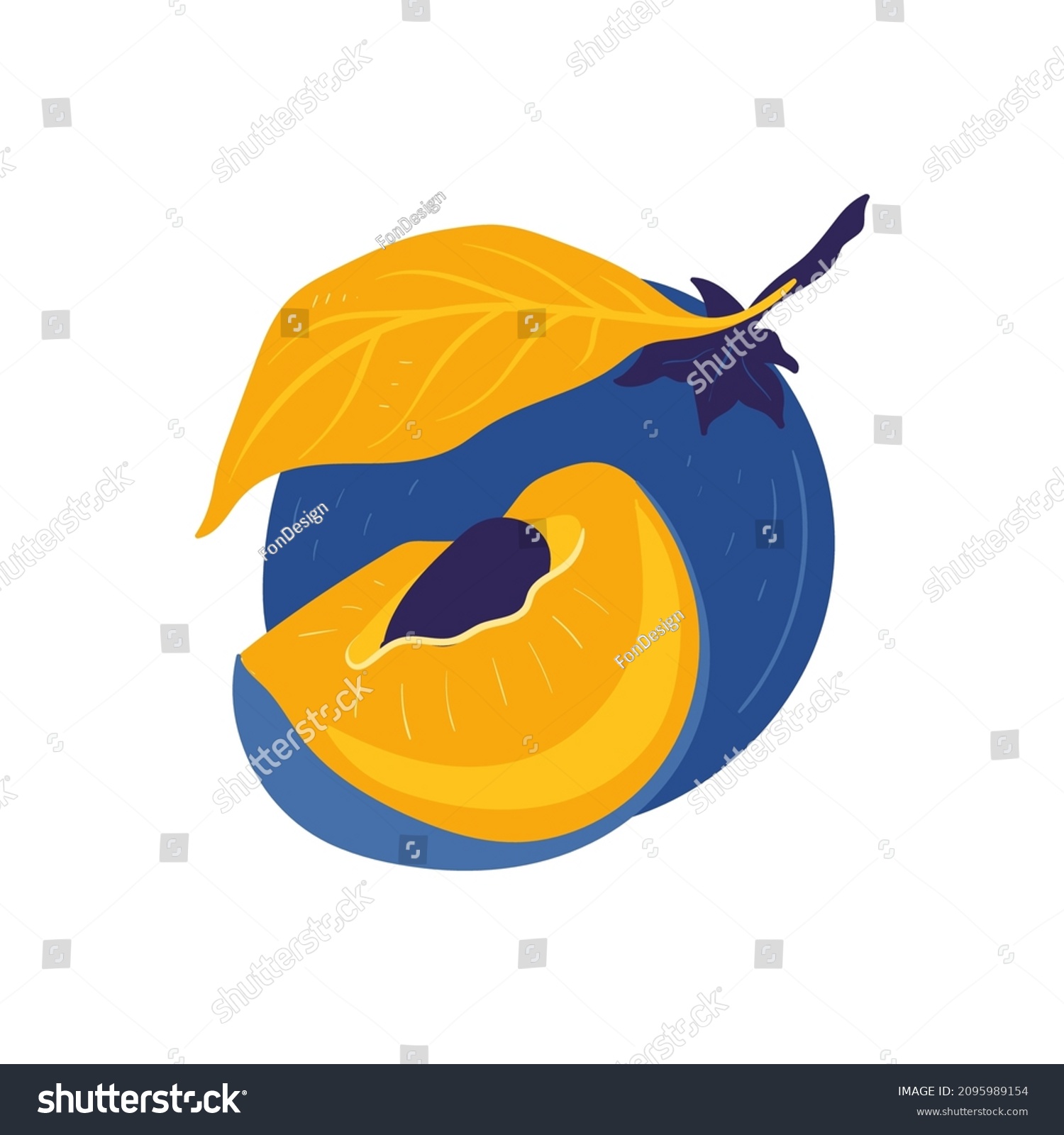 Chikoo. Tropical fruit and graphic design - Royalty Free Stock Vector ...