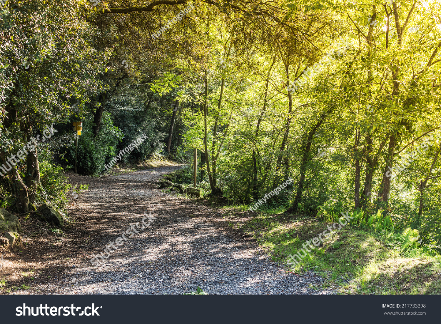 Nature park of old Volcano field of Olot, La - Royalty Free Stock Photo ...