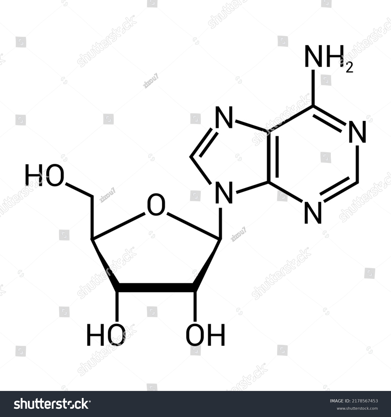Chemical Structure Of Adenosine C10h13n5o4 Royalty Free Stock