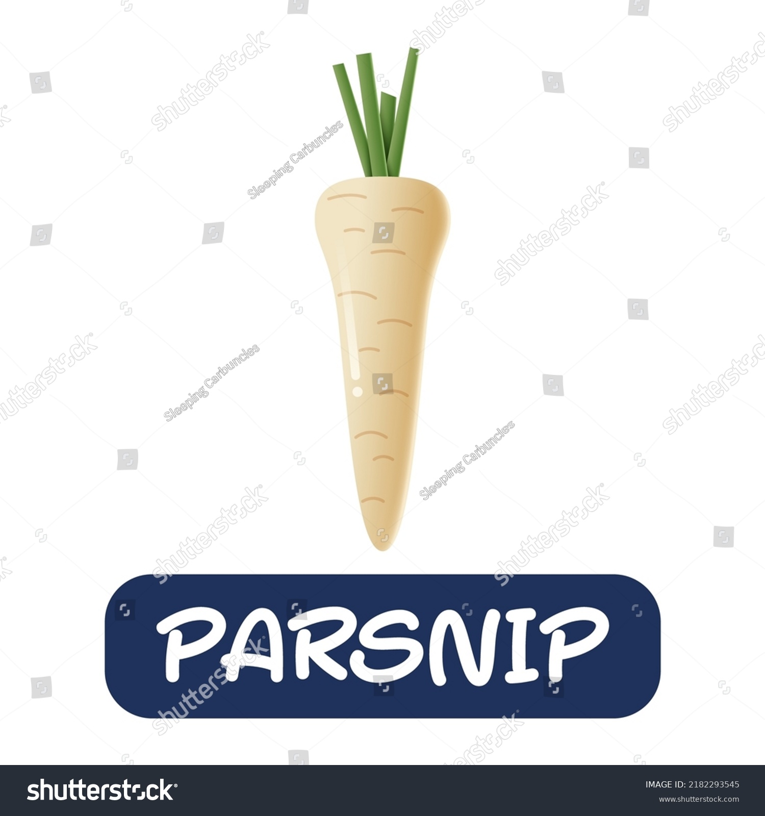 Cartoon Parsnip Vegetables Vector Isolated On Royalty Free Stock