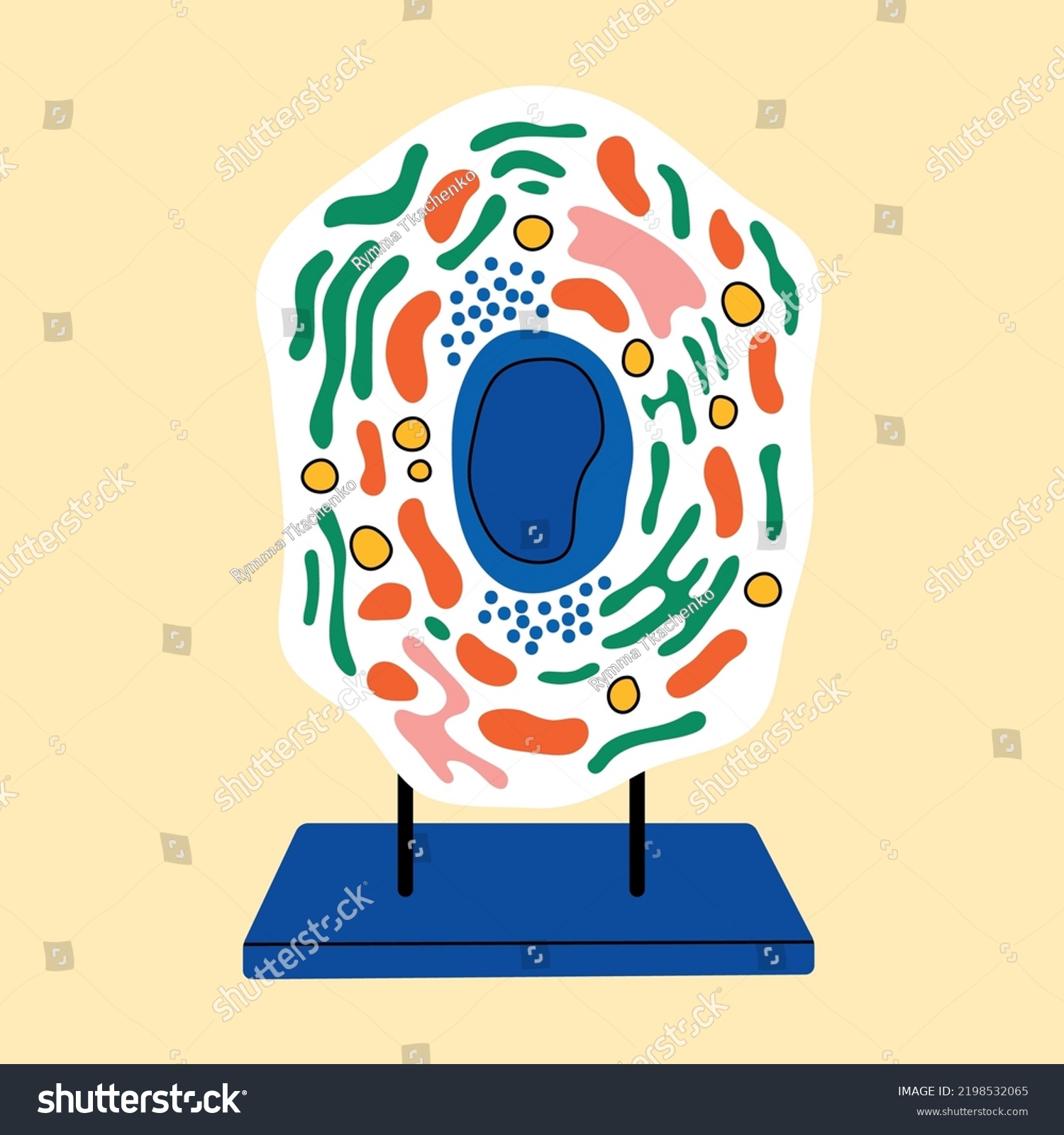 Human Cell Anatomy In Flat Vector Line Style Royalty Free Stock