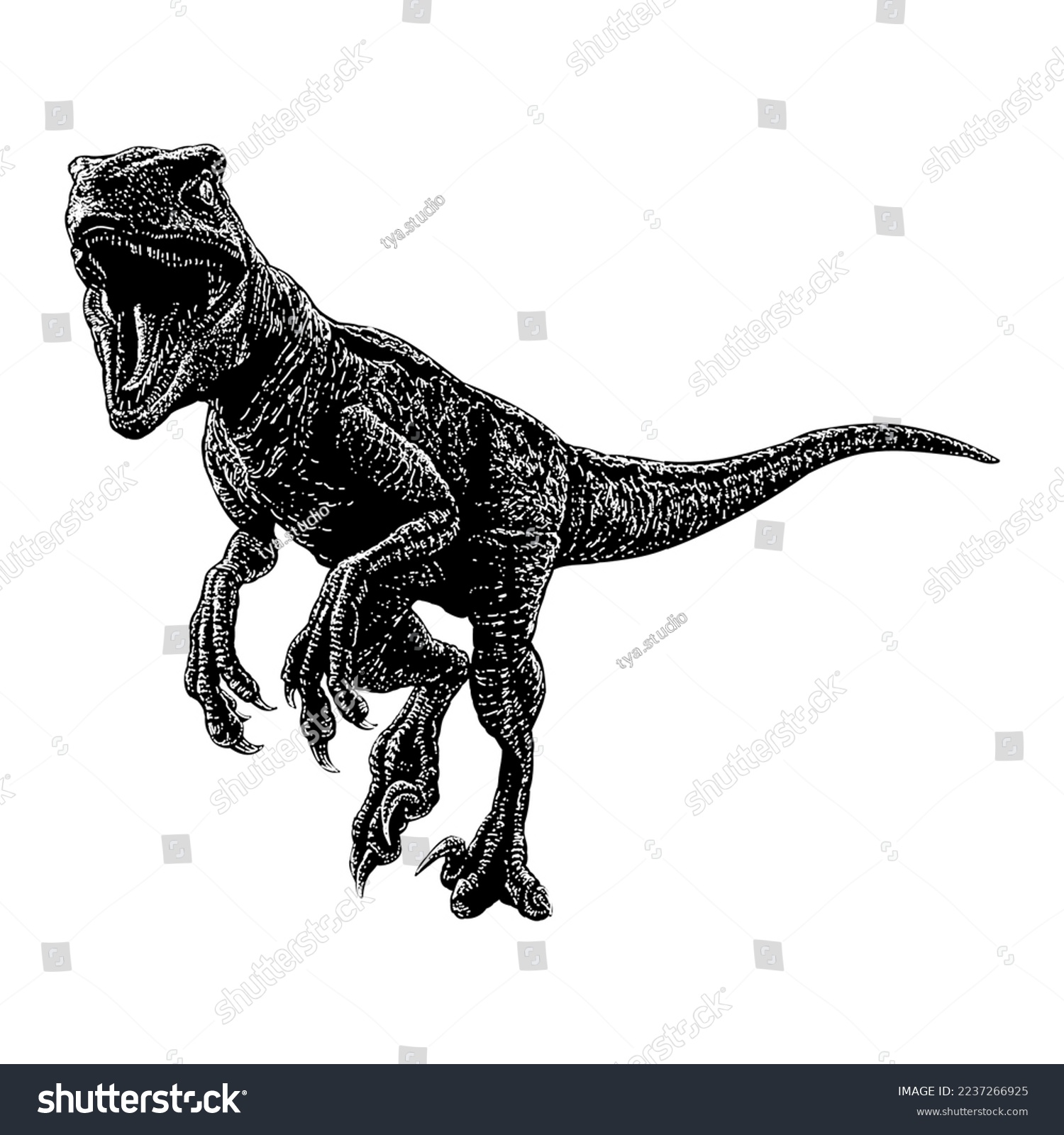 Velociraptor Hand Drawing Vector Isolated On Royalty Free Stock