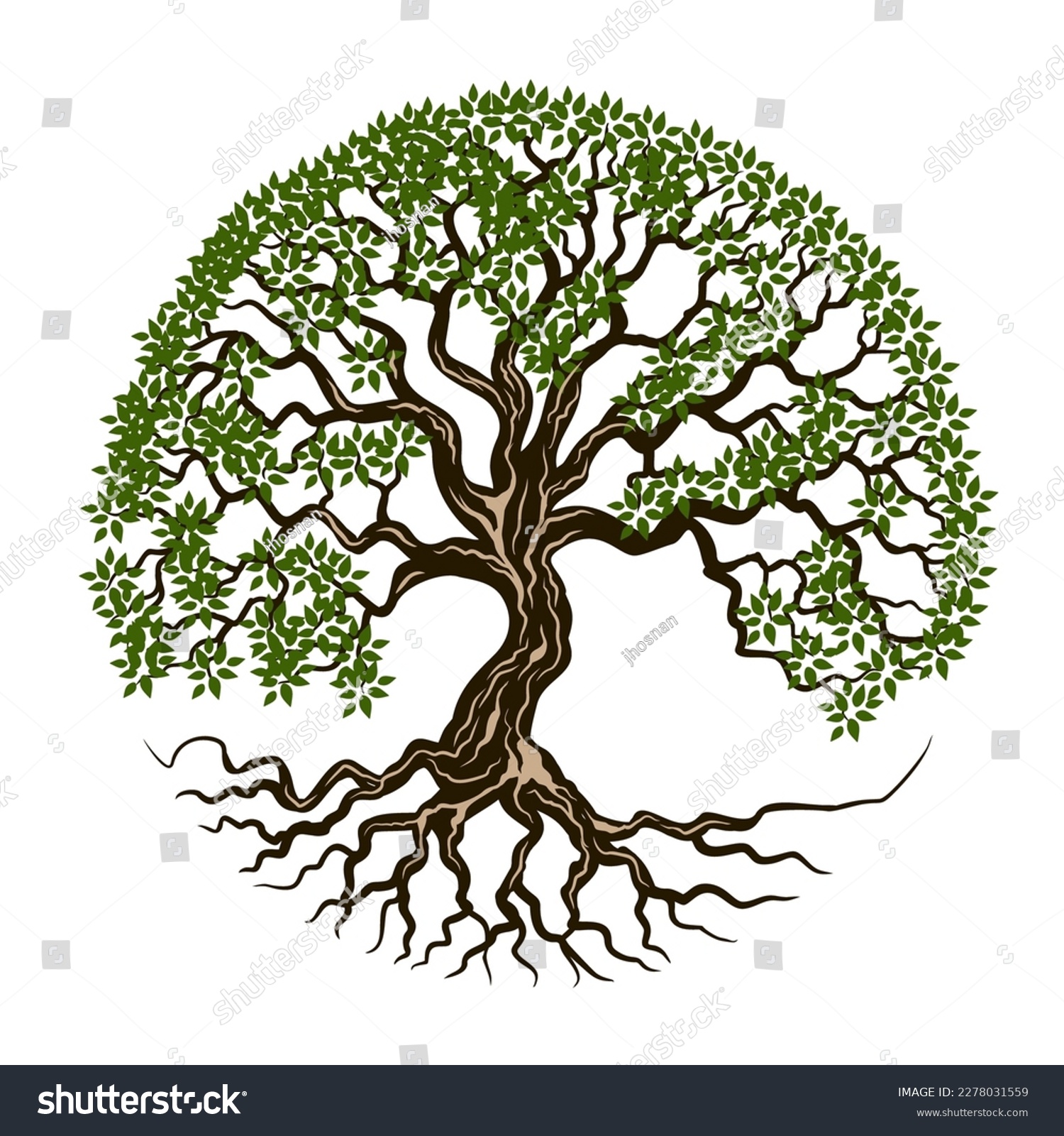 rooted tree logo design. banyan tree with - Royalty Free Stock Vector ... rooted tree logo design. banyan tree with - Royalty Free Stock Vector ...