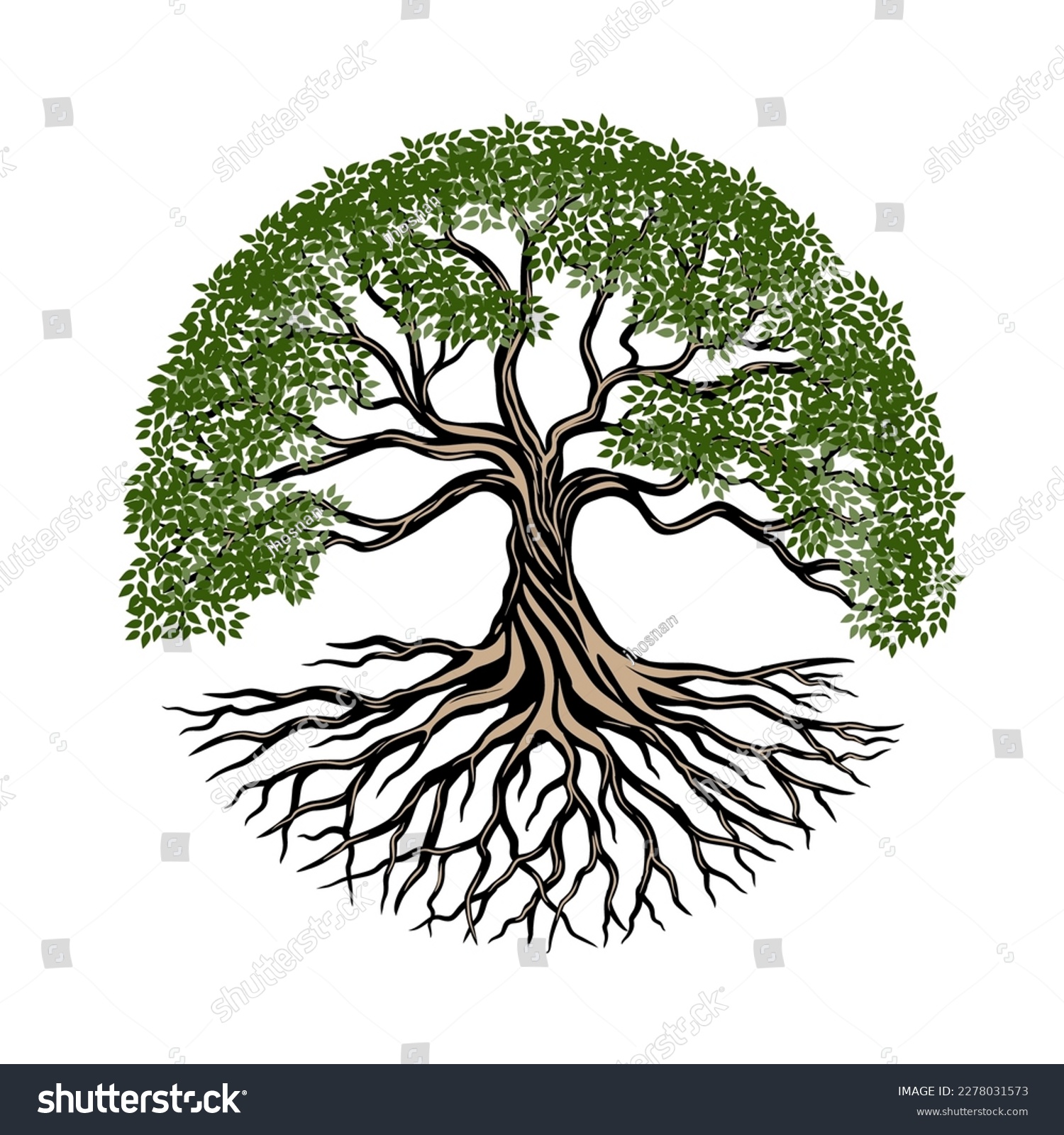 rooted tree logo design. banyan tree with - Royalty Free Stock Vector ... rooted tree logo design. banyan tree with - Royalty Free Stock Vector ...