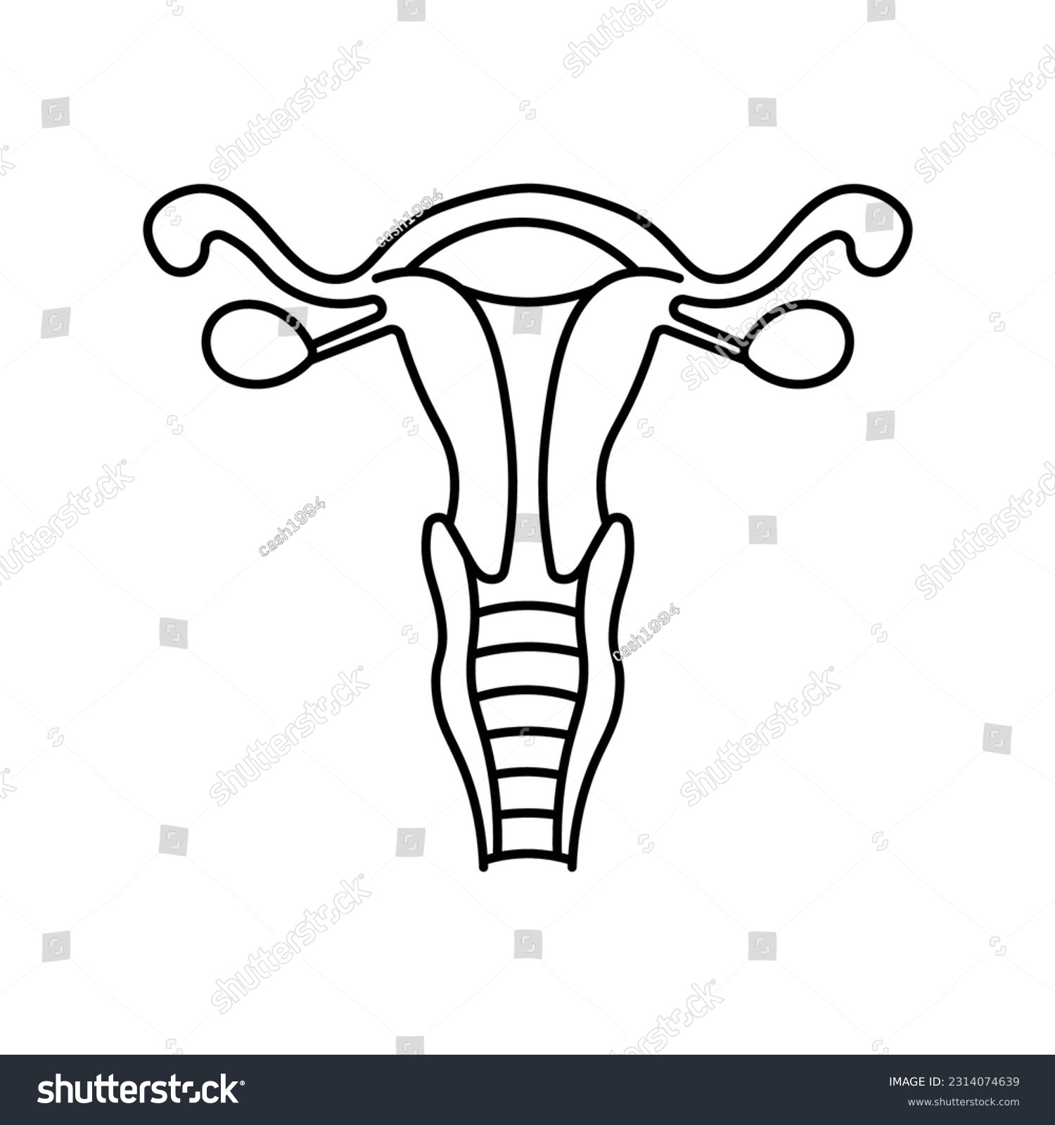 Female Genitalia Anatomy Flat Line Icon Human Royalty Free Stock Vector 2314074639