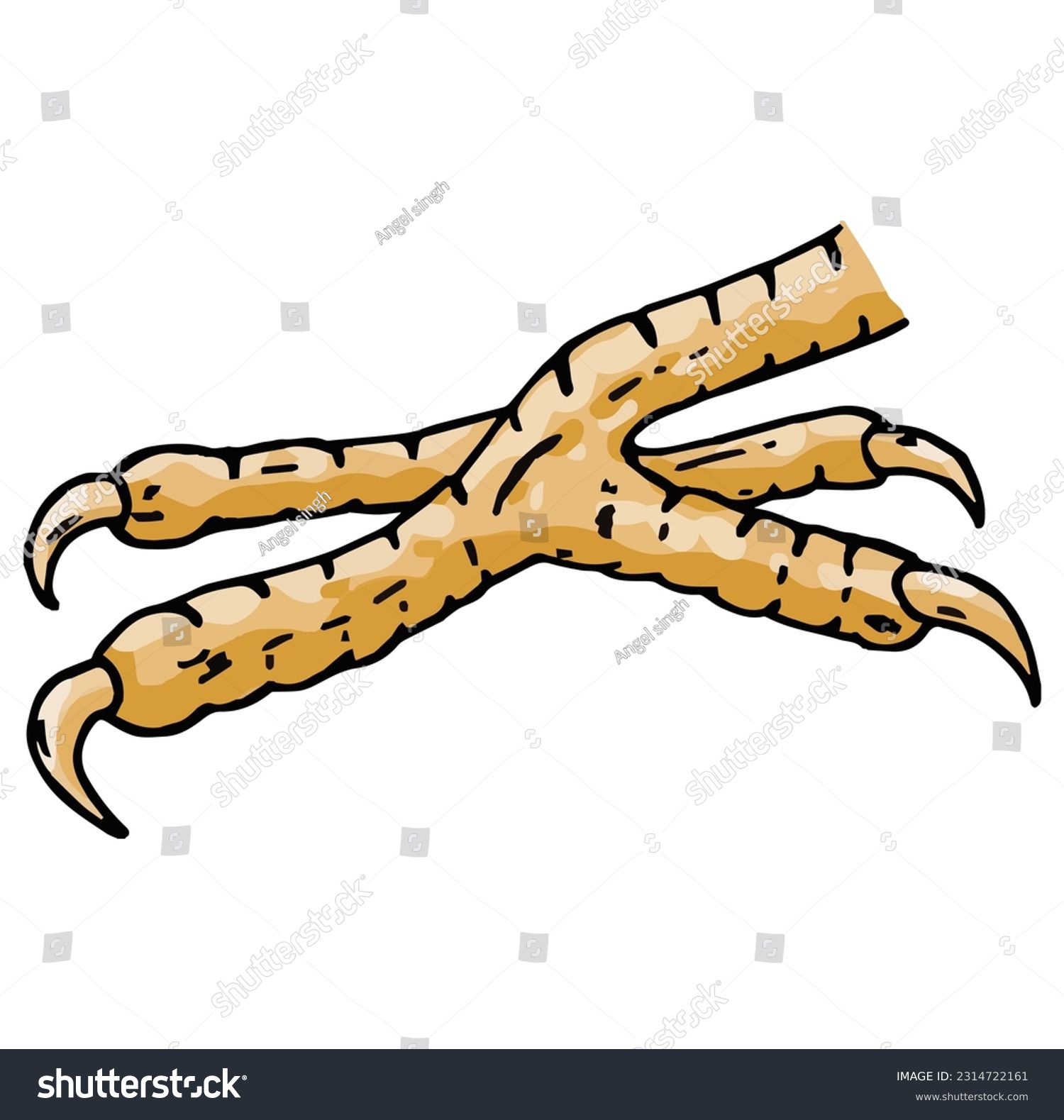 Science Of Feet And Clawsfeet And Claws Royalty Free Stock Vector 2314722161