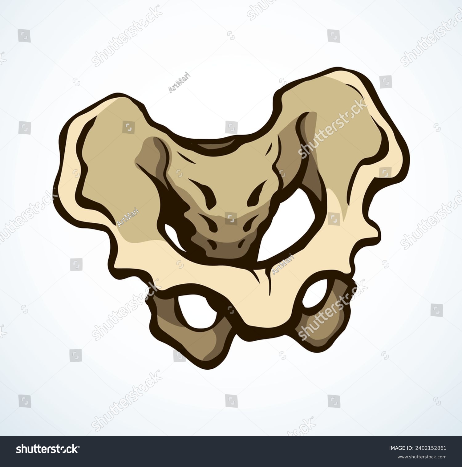 Front View White Old Sick Iliac Torso Column Royalty Free Stock