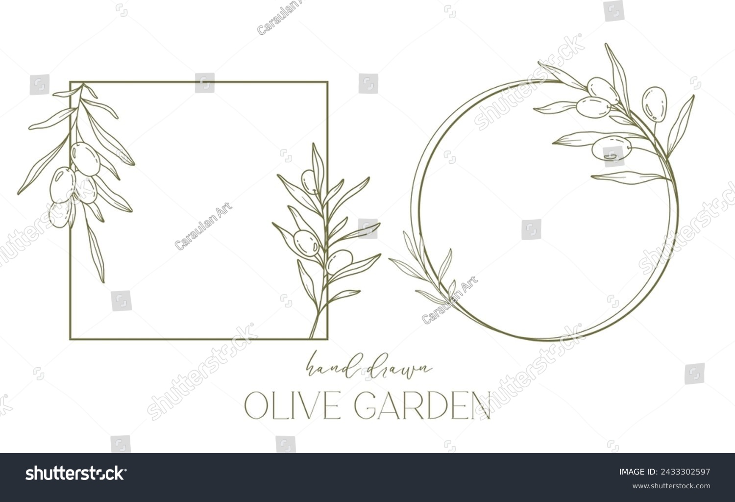 Olives Line Drawing. Black and white Olive Frame - Royalty Free Stock ...