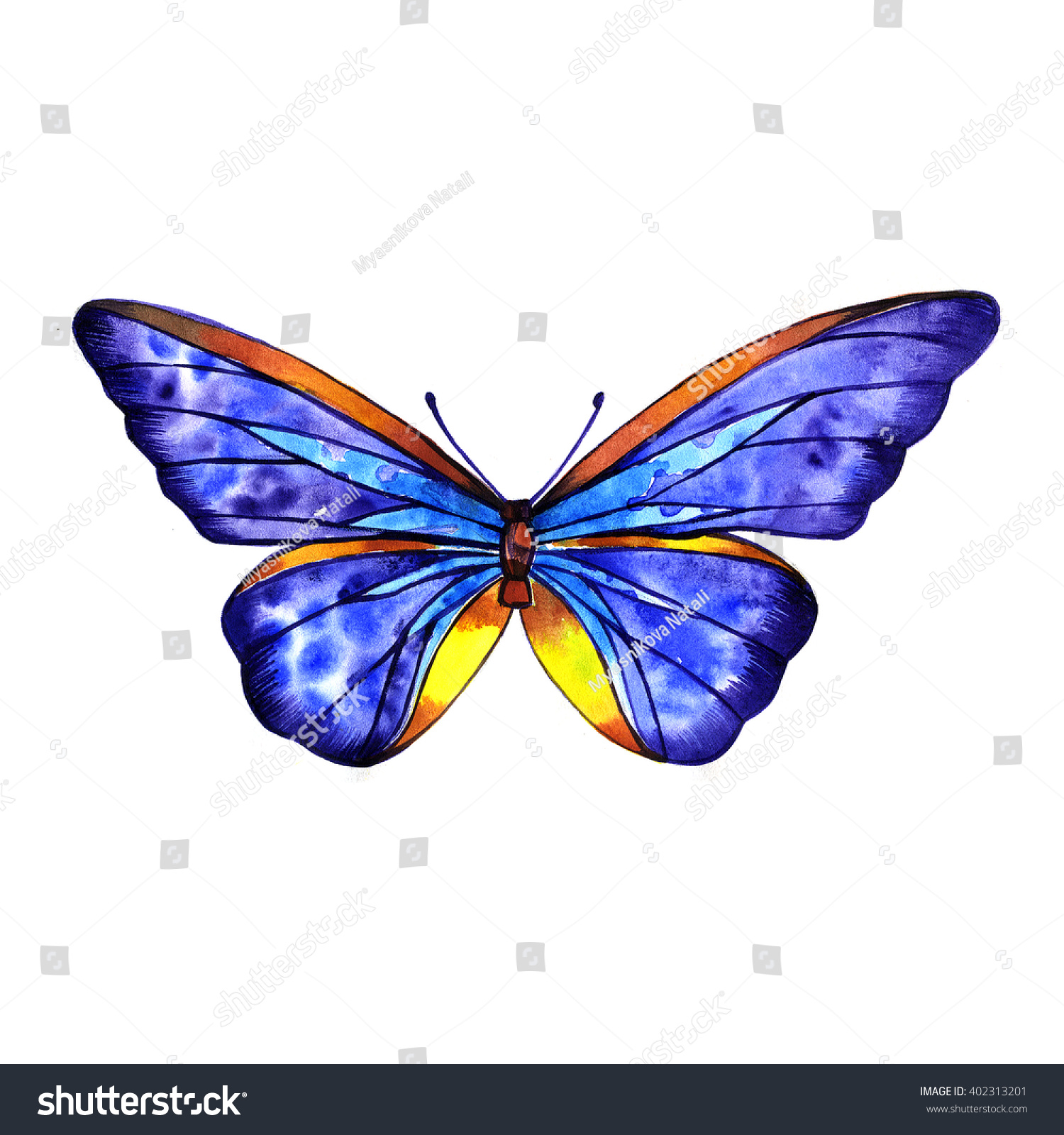 Free Vector Watercolor Papillion