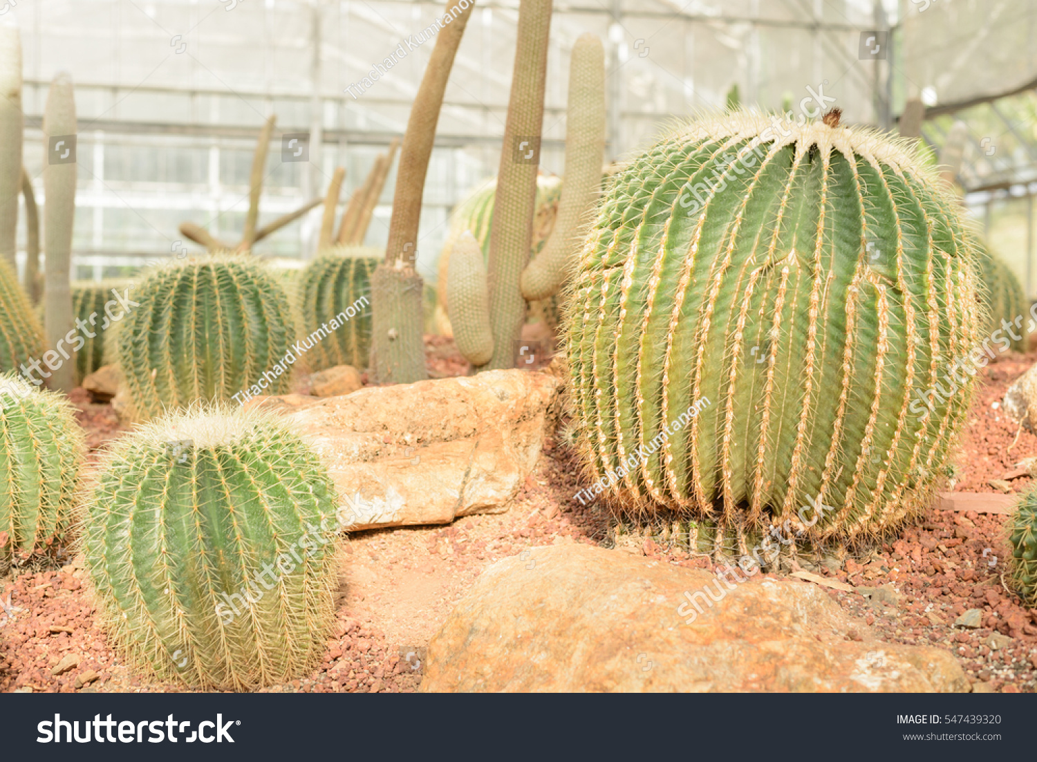 Shutterstock Of Natural Shares 22 Photosfine