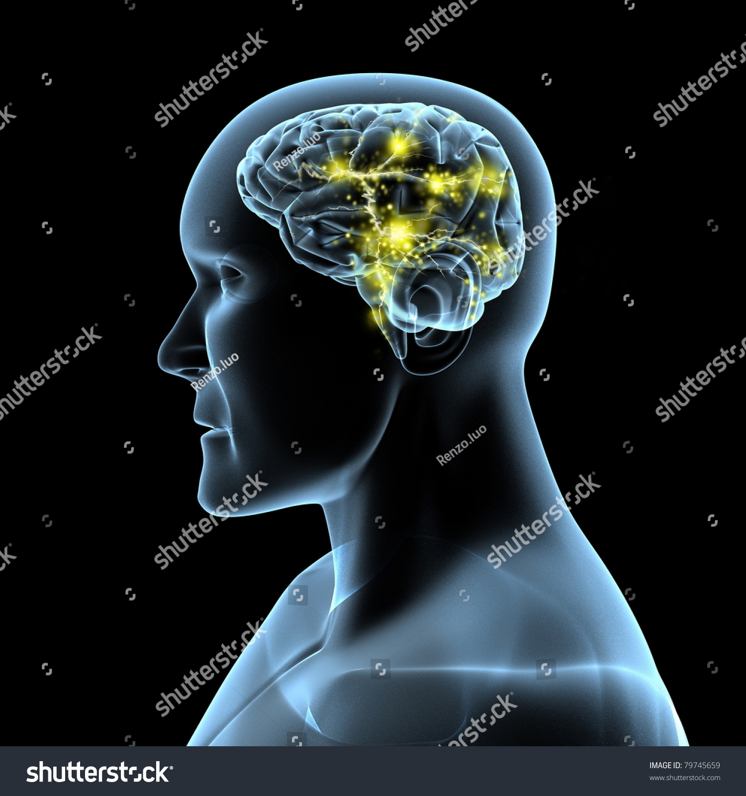 Active Brain Stock Photo 79745659 : Shutterstock