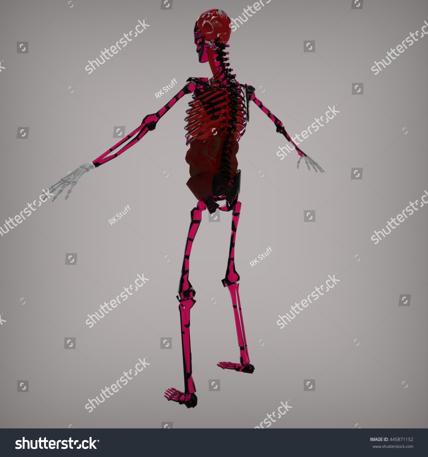 3d Human Skeleton Rendering Stock Illustration 445871152 | Shutterstock