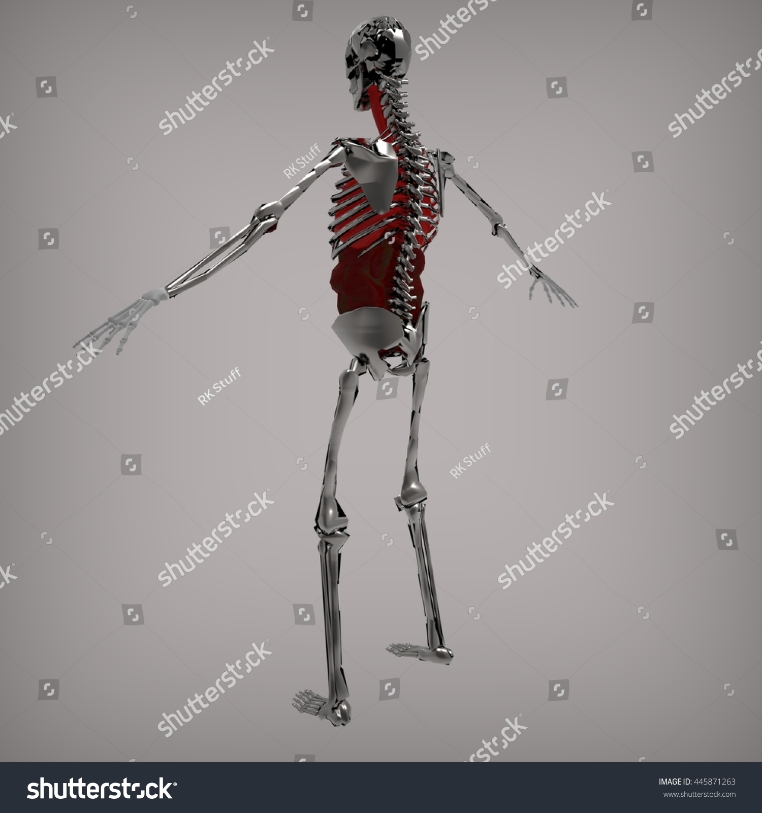 3d Human Skeleton Rendering Stock Illustration 445871263