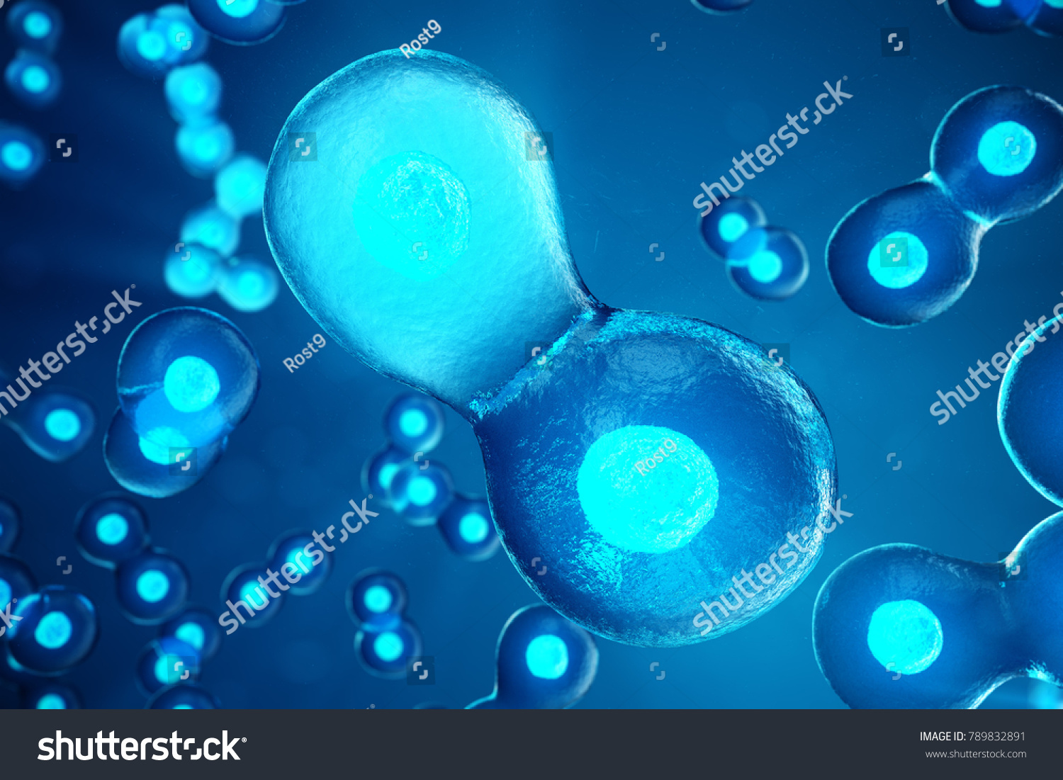 3d Illustration Early Stage Embryo Cell Stock Illustration 789832891 ... 3d Illustration Early Stage Embryo Cell Stock Illustration 789832891 ...