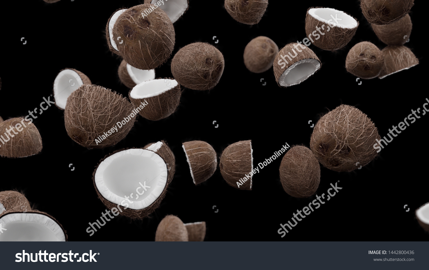 3d Render Falling Coconuts On Black Stock Illustration 1442800436 ...