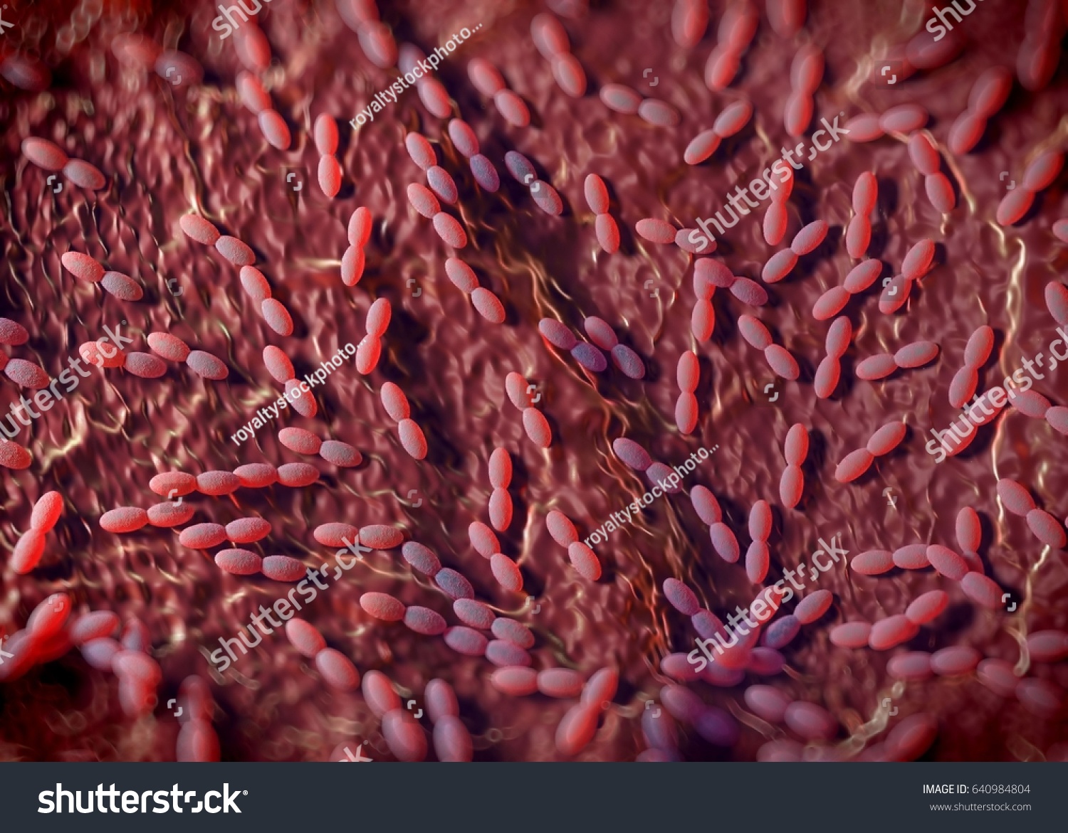 3d Rendering Acetobacter Bacteria Stock Illustration 640984804