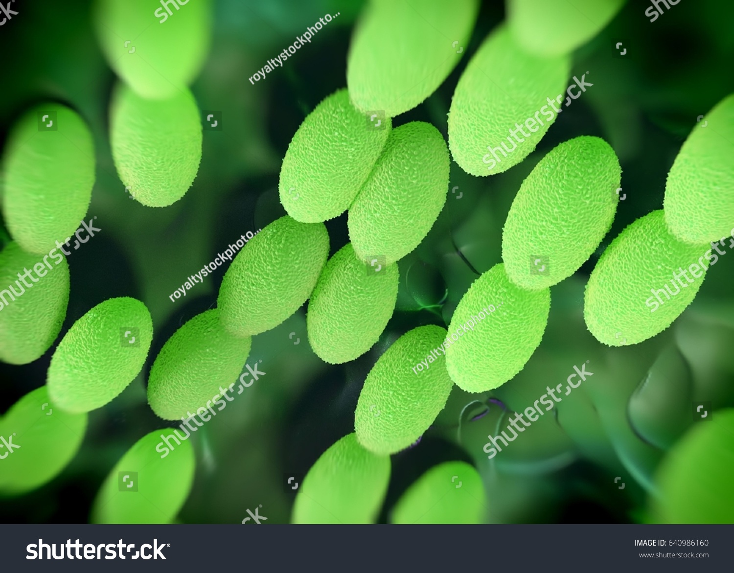 274 imágenes de Aceti acid bacteria - Imágenes, fotos y vectores de ...
