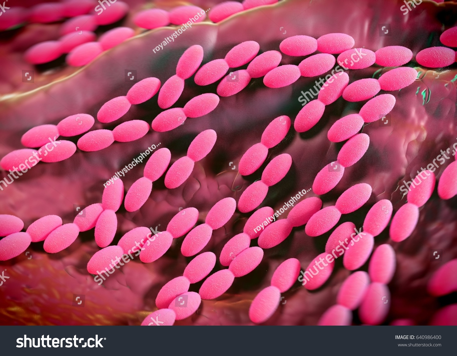 3d Rendering Acetobacter Bacteria Stock Illustration 640986400 ...