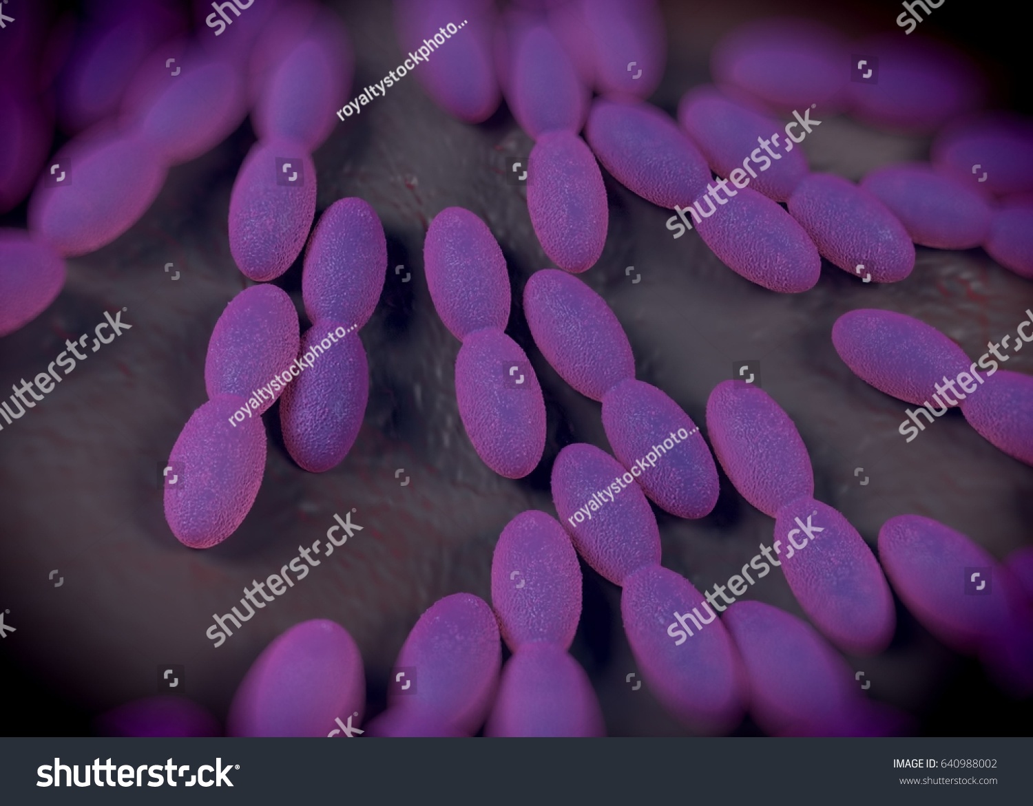 3d Rendering Acetobacter Bacteria Stock Illustration 640988002