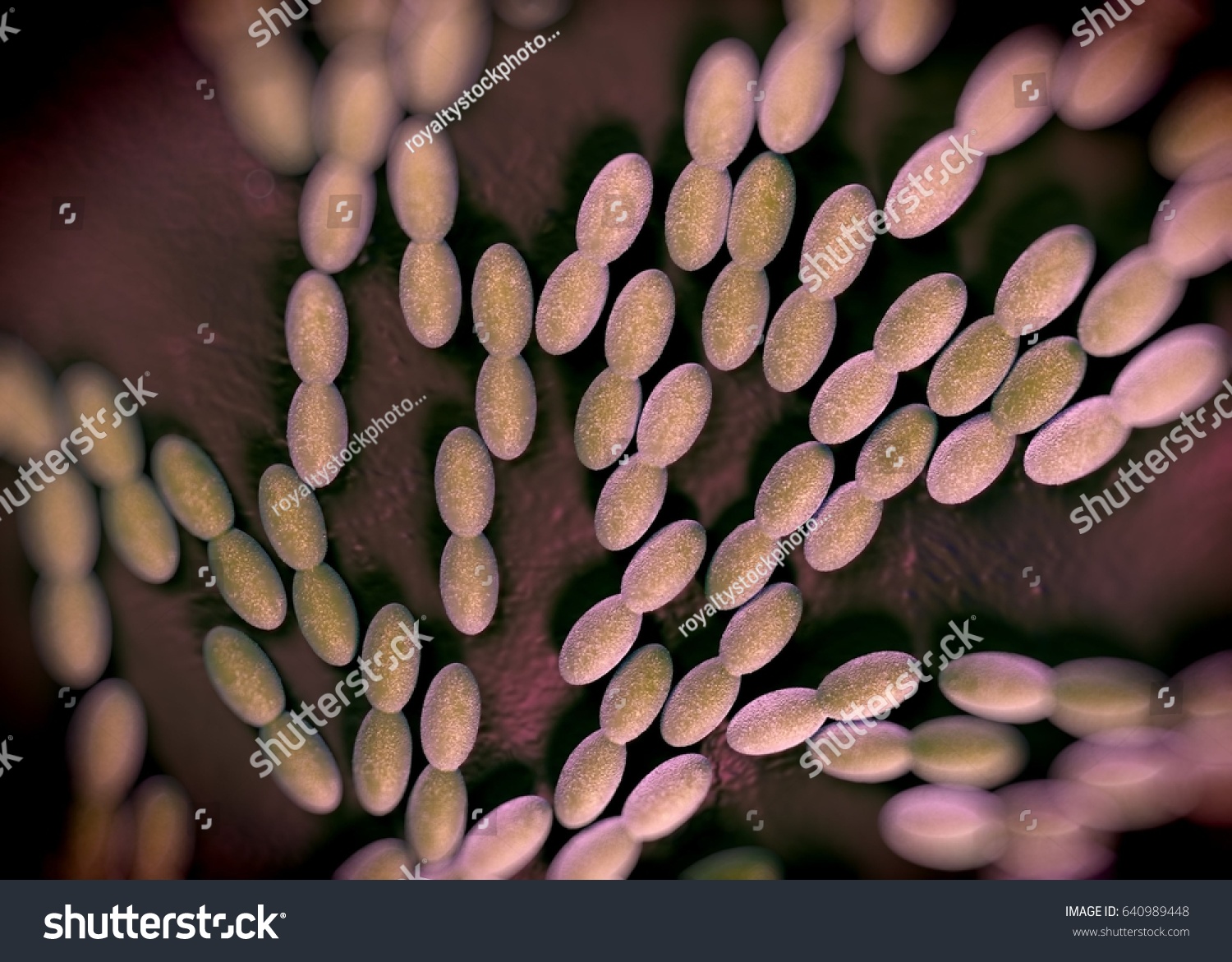 3d Rendering Acetobacter Bacteria Stock Illustration 640989448