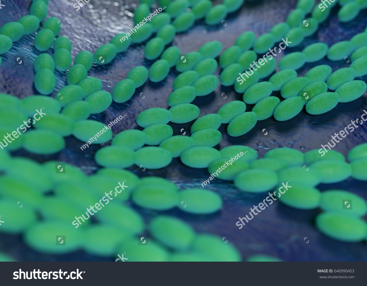 3d Rendering Acetobacter Bacteria Stock Illustration 640990453 ...