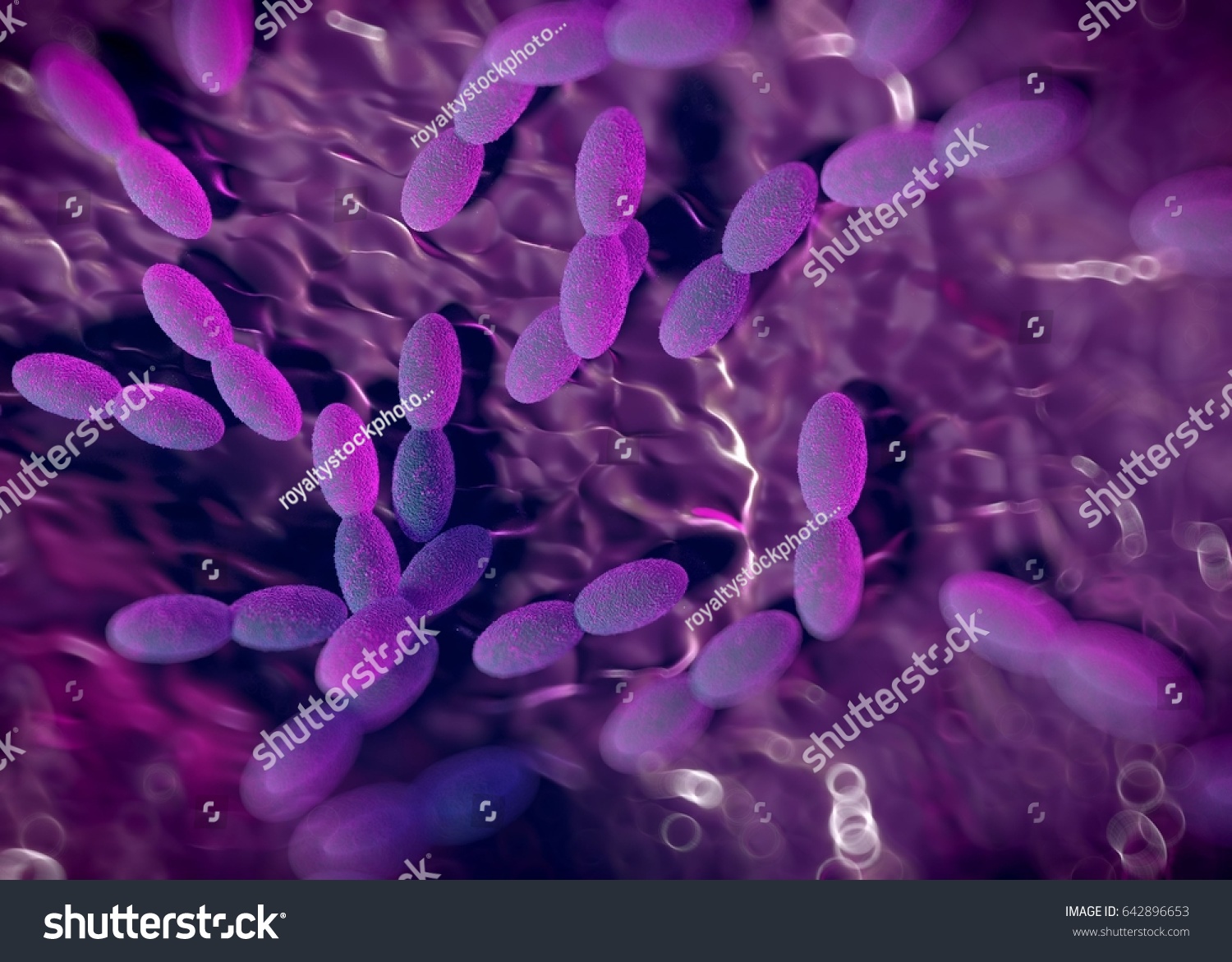 3d Rendering Acetobacter Bacteria Stock Illustration 642896653