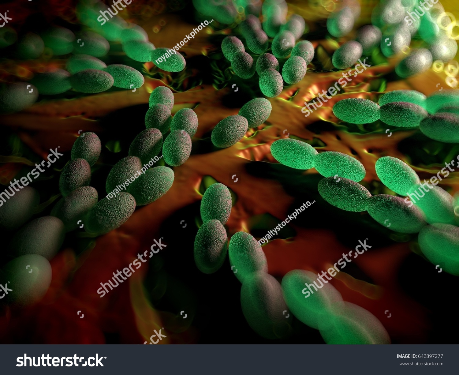 3d Rendering Acetobacter Bacteria Stock Illustration 642897277