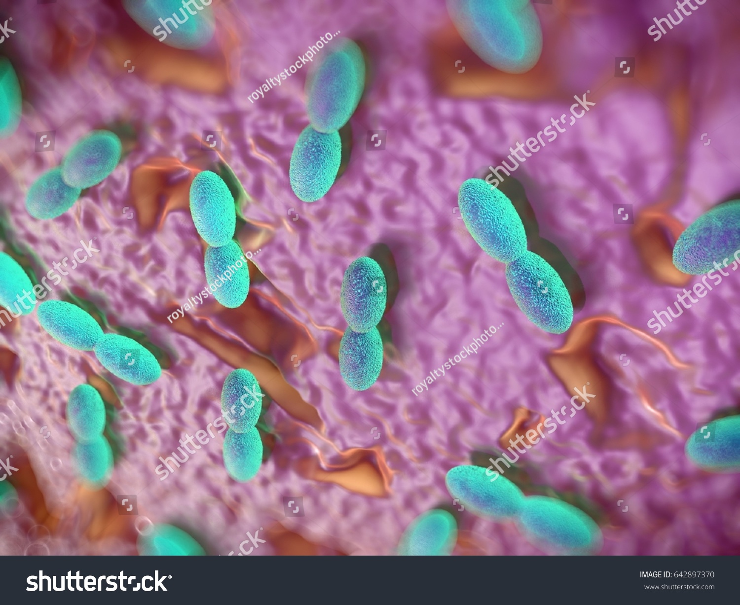 3d Rendering Acetobacter Bacteria Stock Illustration 642897370