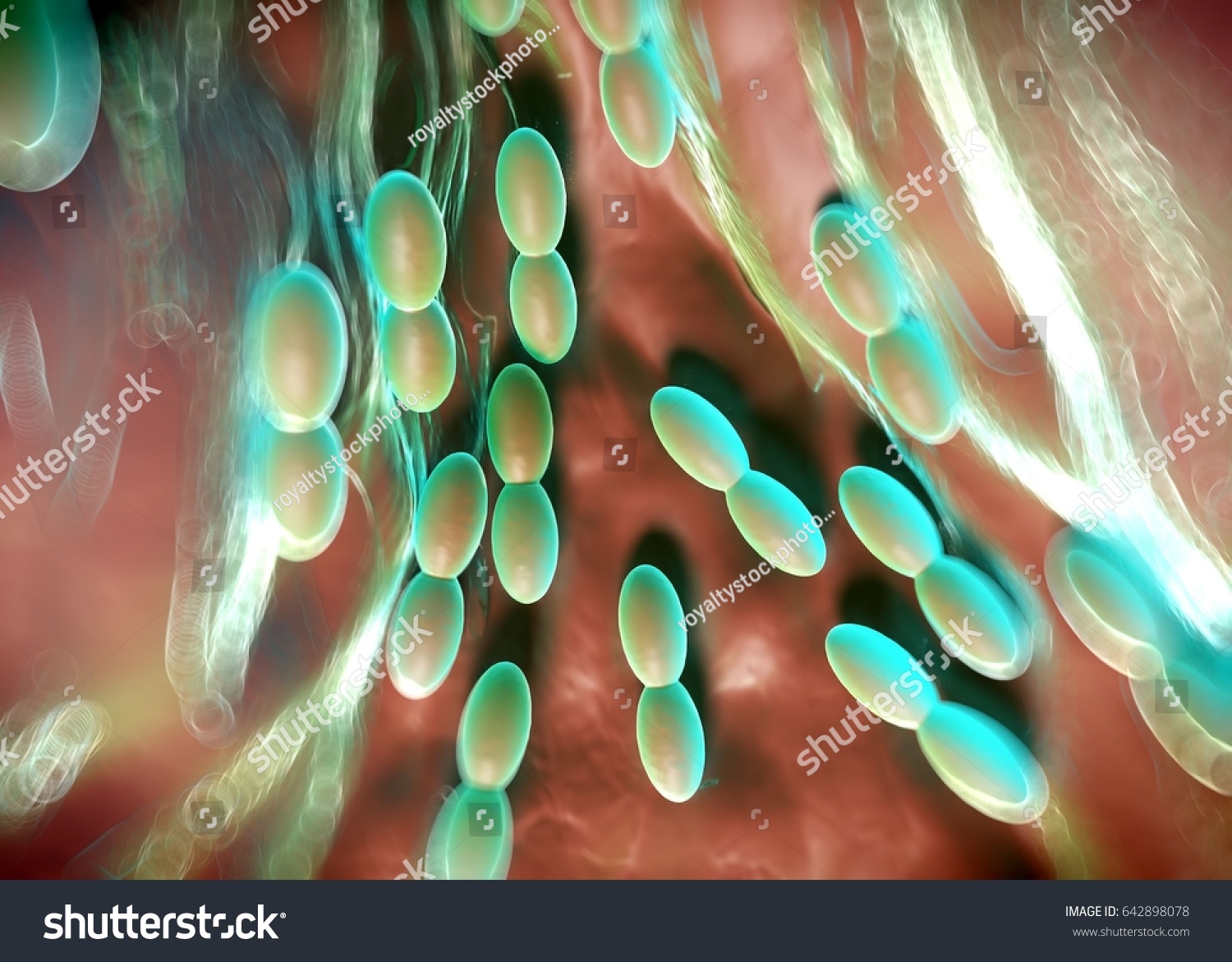 3d Rendering Acetobacter Bacteria Stock Illustration 642898078 ...