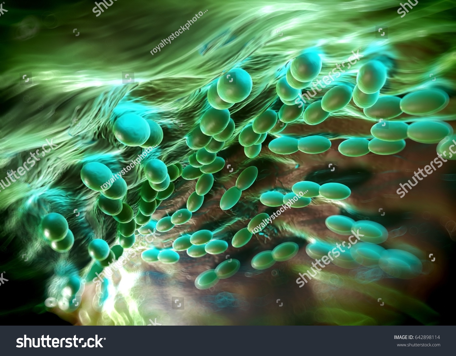 "Acetobacter" - 367 Ảnh, vector và hình chụp có sẵn | Shutterstock