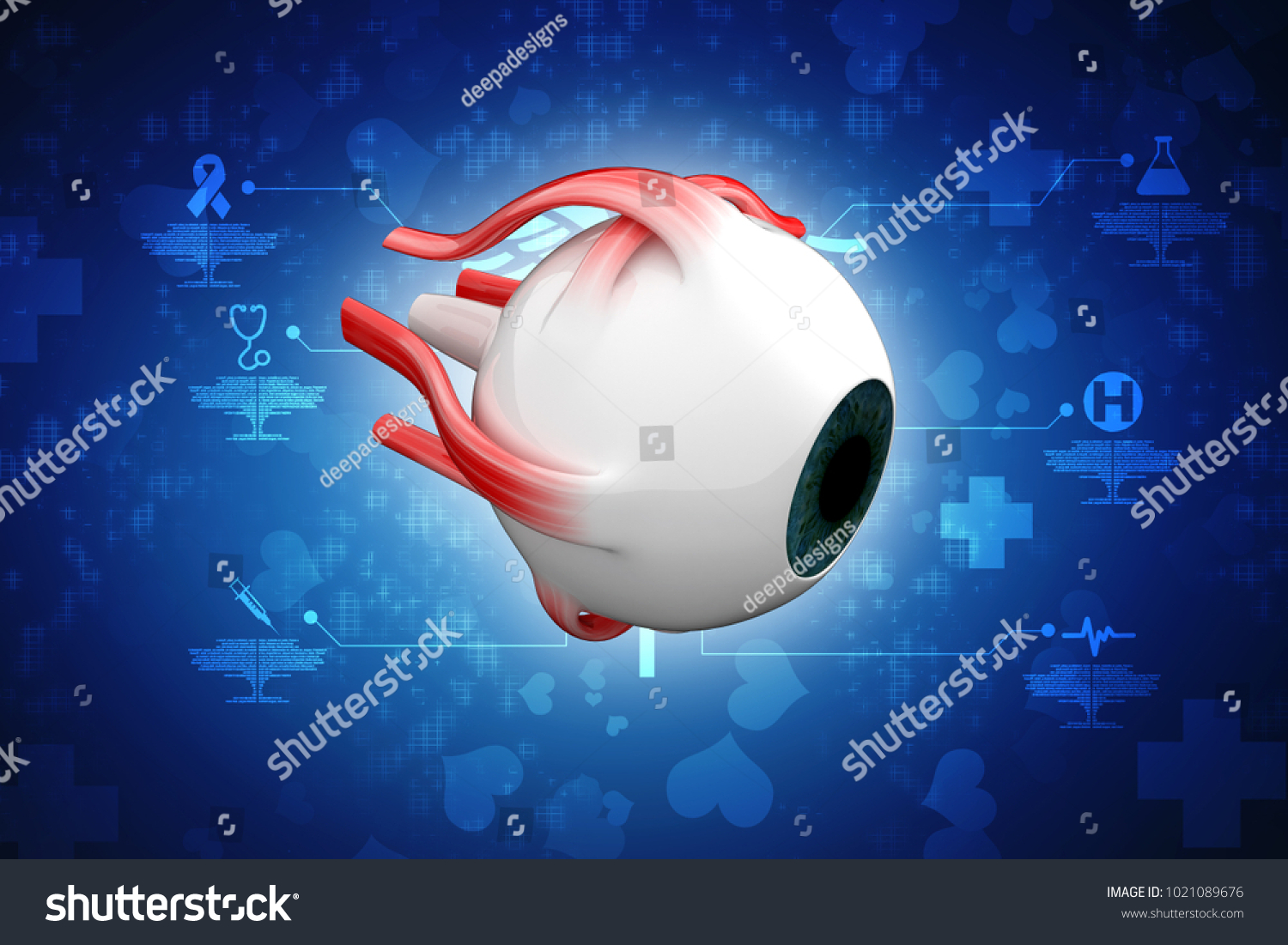3d Rendering Human Eye Structure Stock Illustration 1021089676 ...