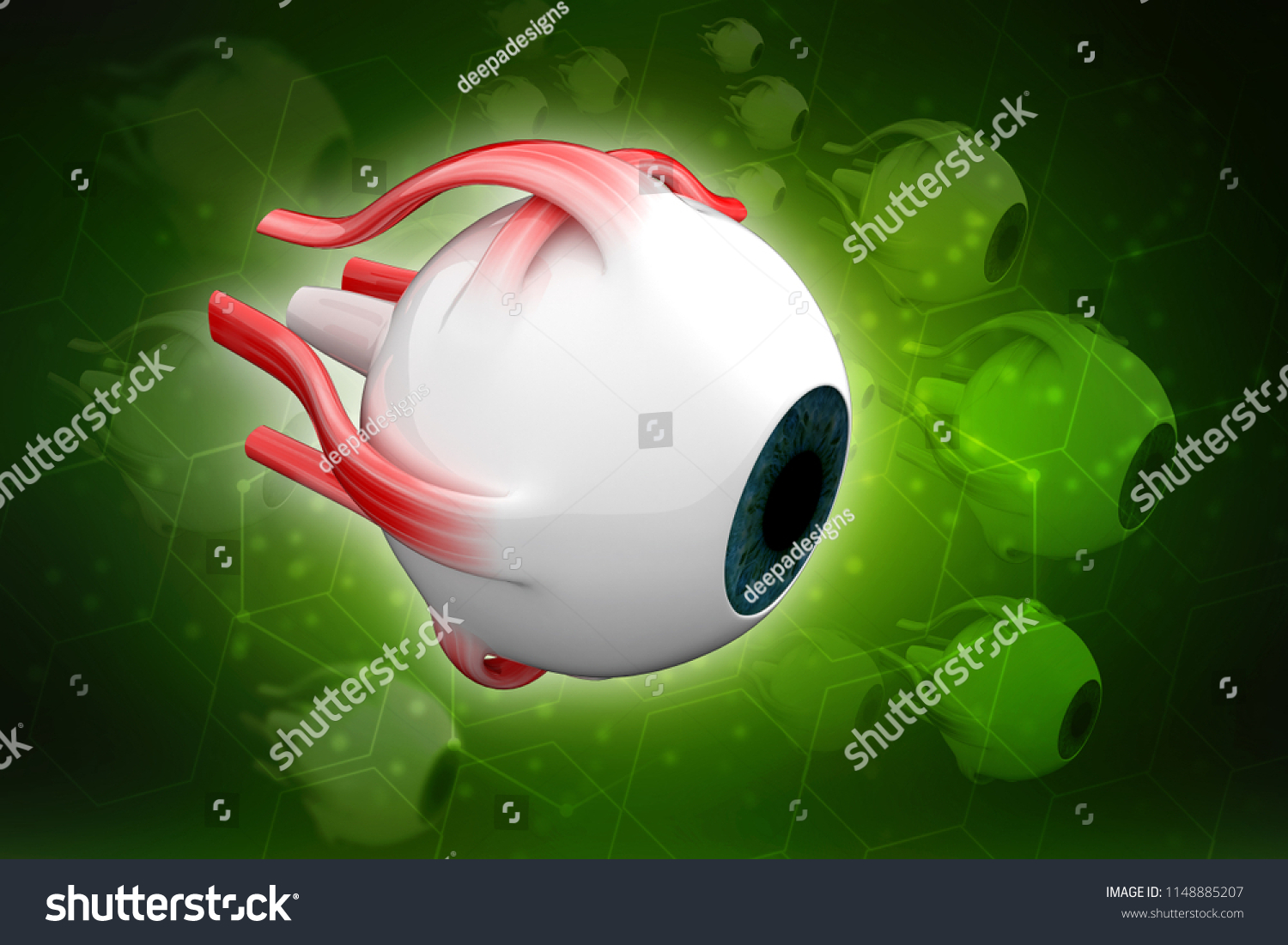 3d Rendering Human Eye Structure Stock Illustration 1148885207 ...