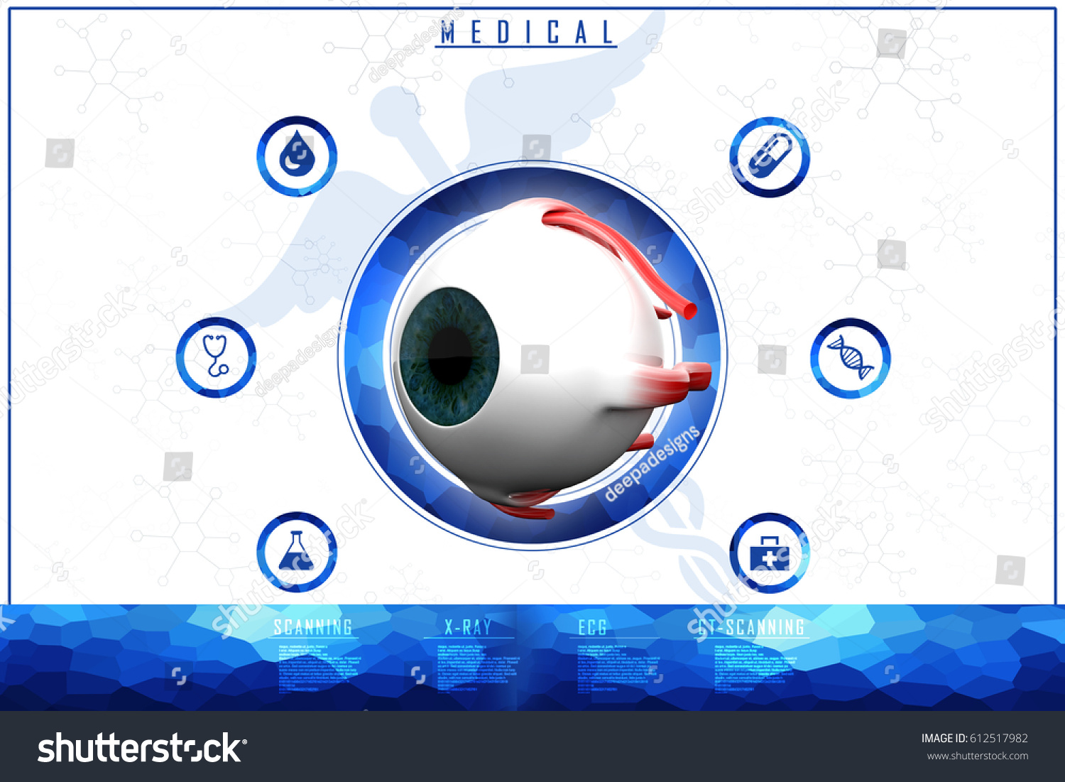 3d Rendering Human Eye Structure Stock Illustration 612517982 ...