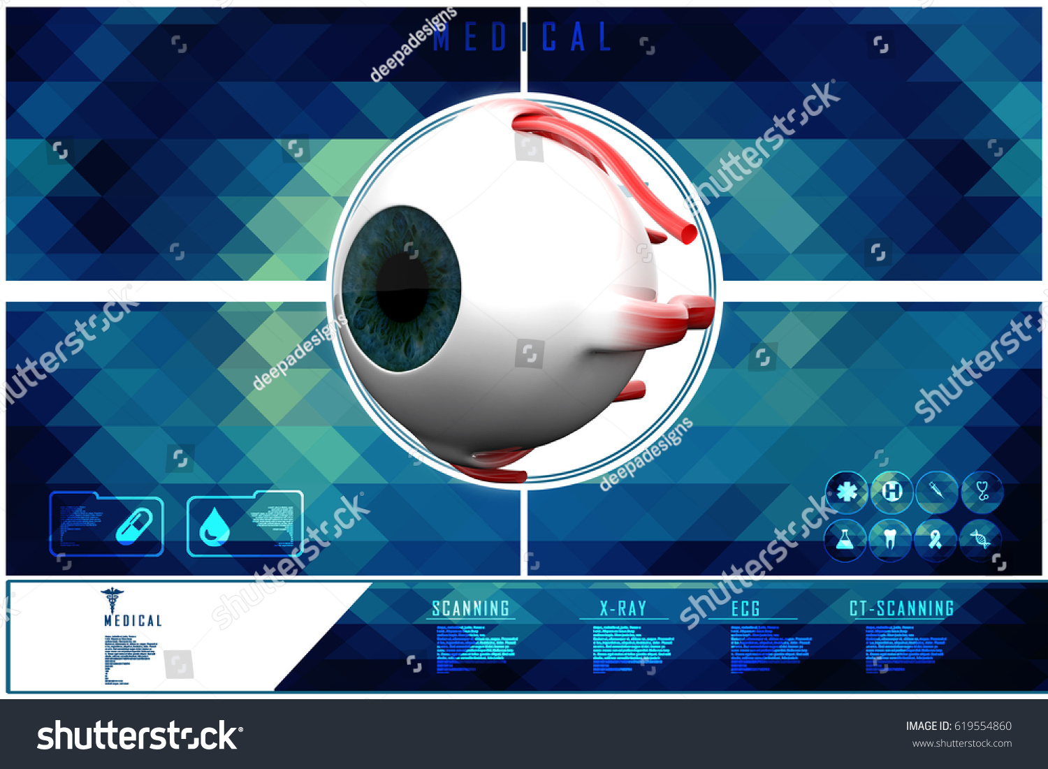 3d Rendering Human Eye Structure Stock Illustration 619554860 ...