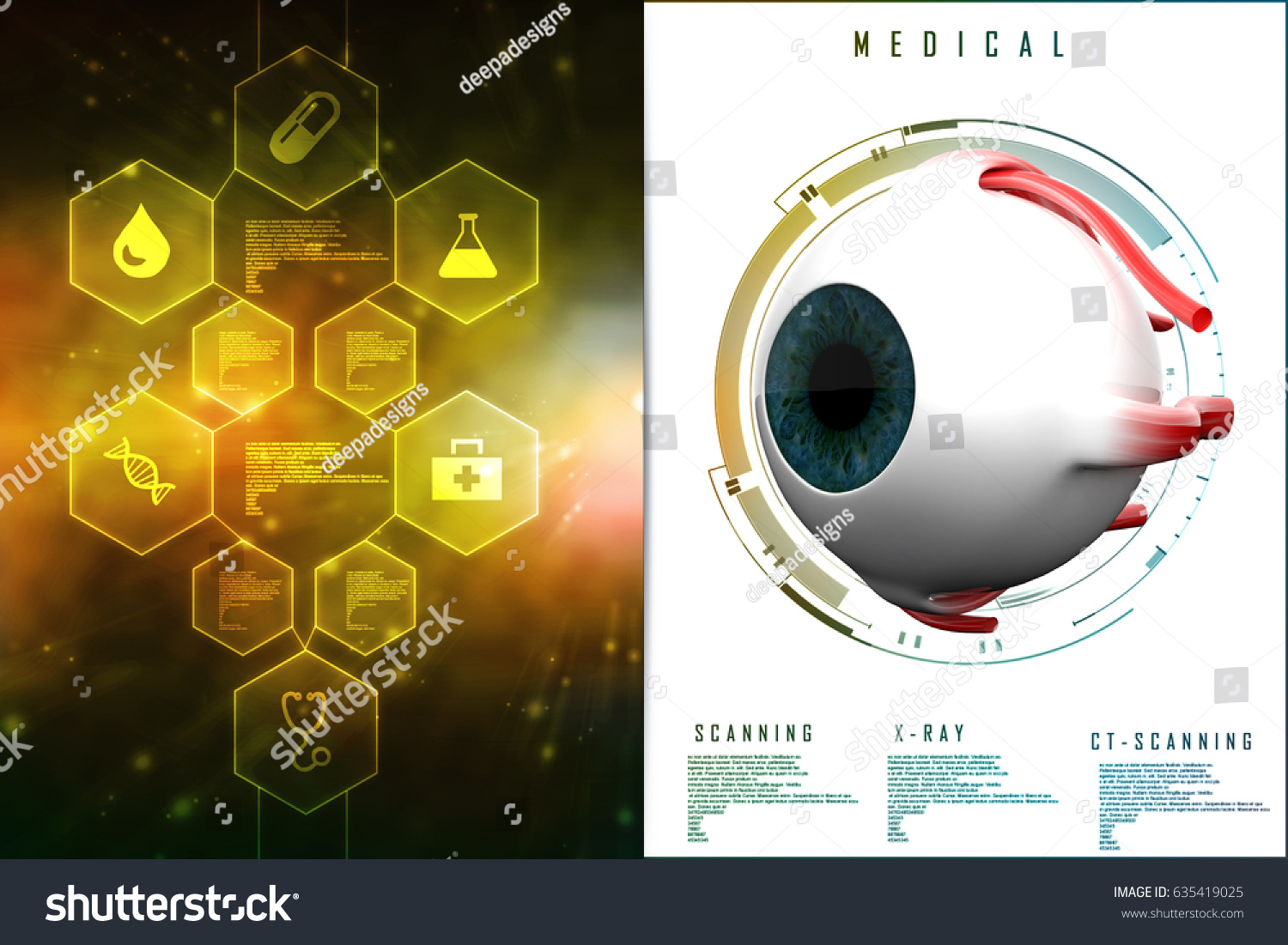 3d Rendering Human Eye Structure Stock Illustration 635419025 ...