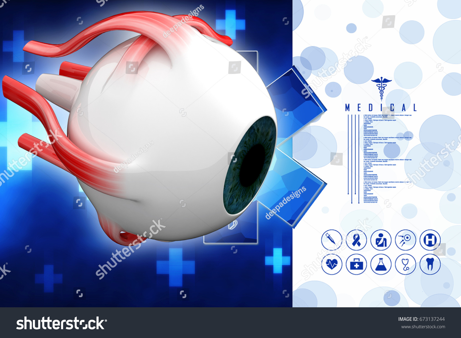 3d Rendering Human Eye Structure Stock Illustration 673137244 ...