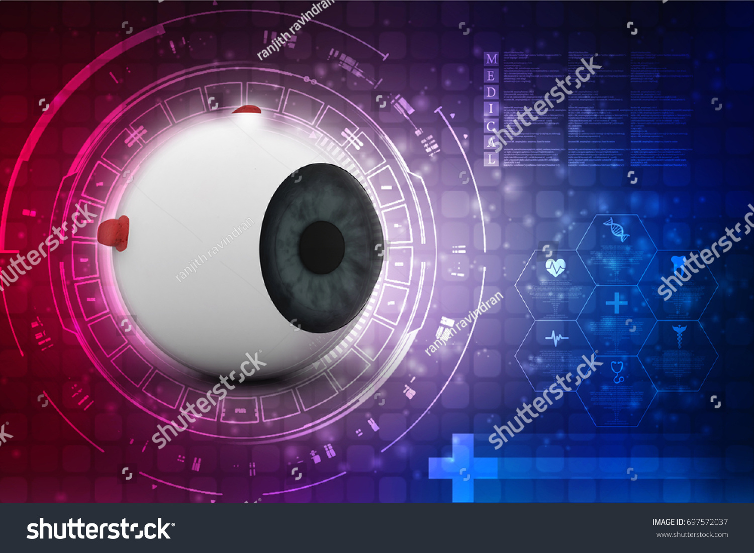 3d Rendering Human Eye Structure: ภาพประกอบสต็อก 697572037 | Shutterstock